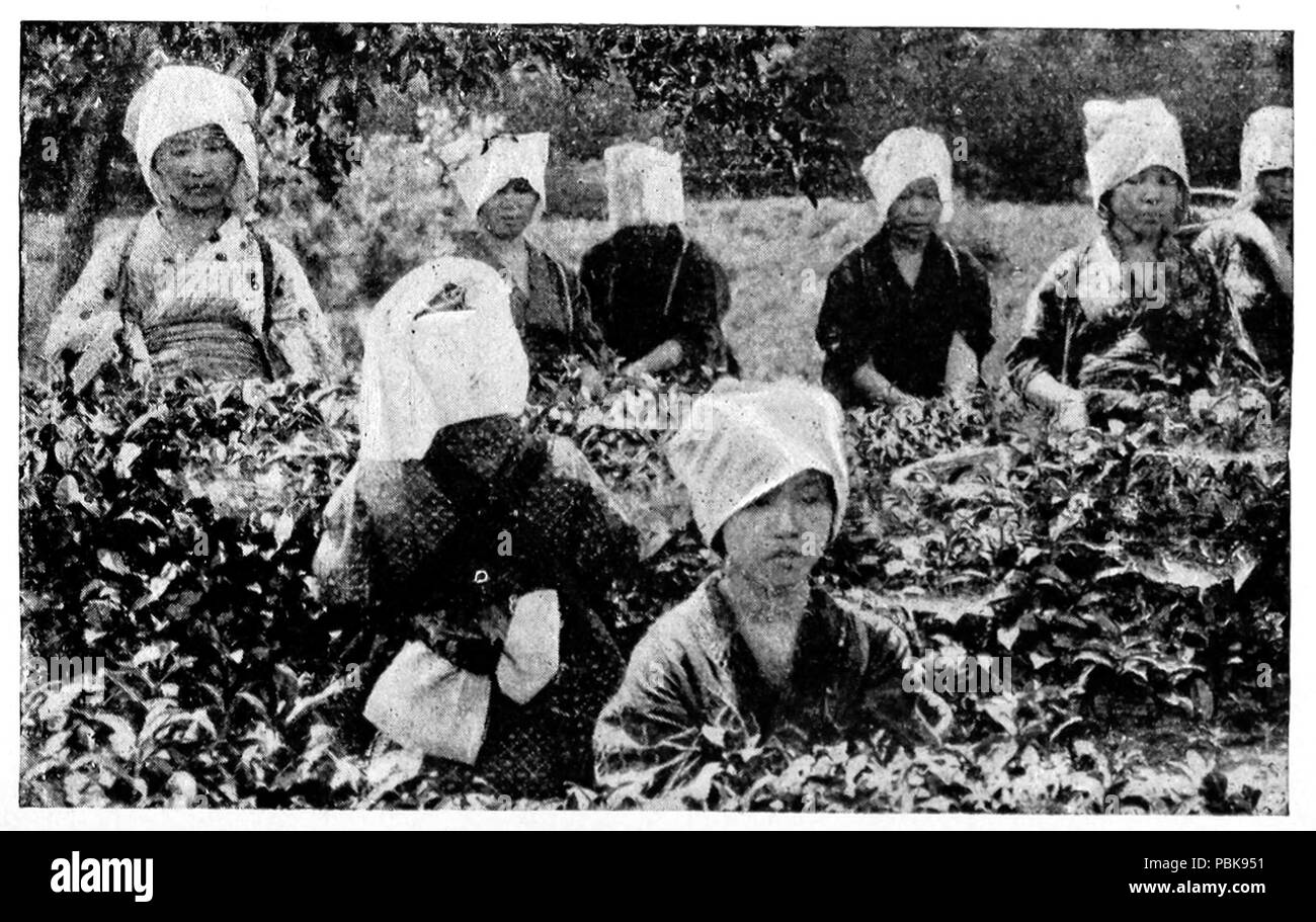 Jinrikisha rickshaw japan travel hi-res stock photography and images ...