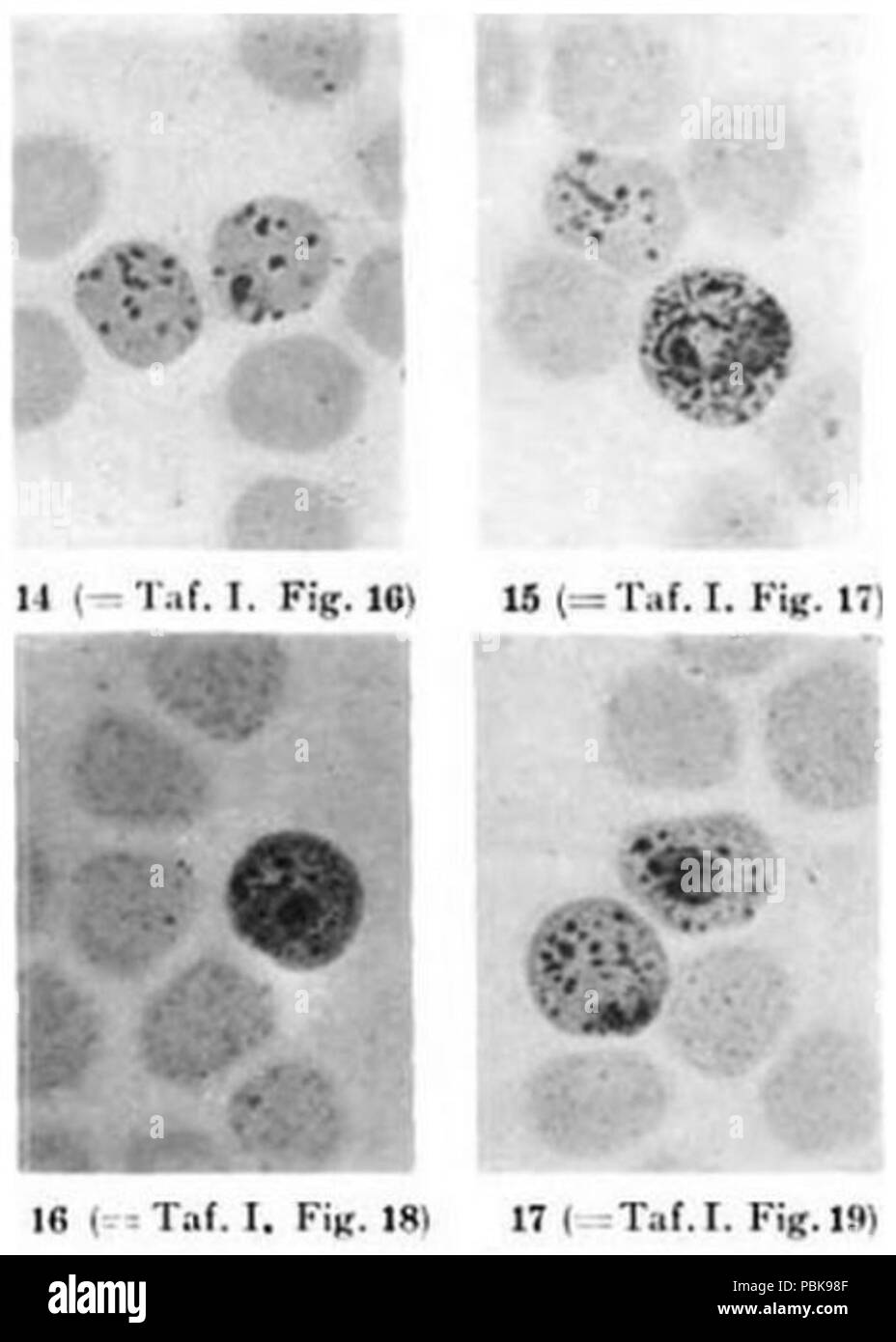 Maurers hi-res stock photography and images - Alamy