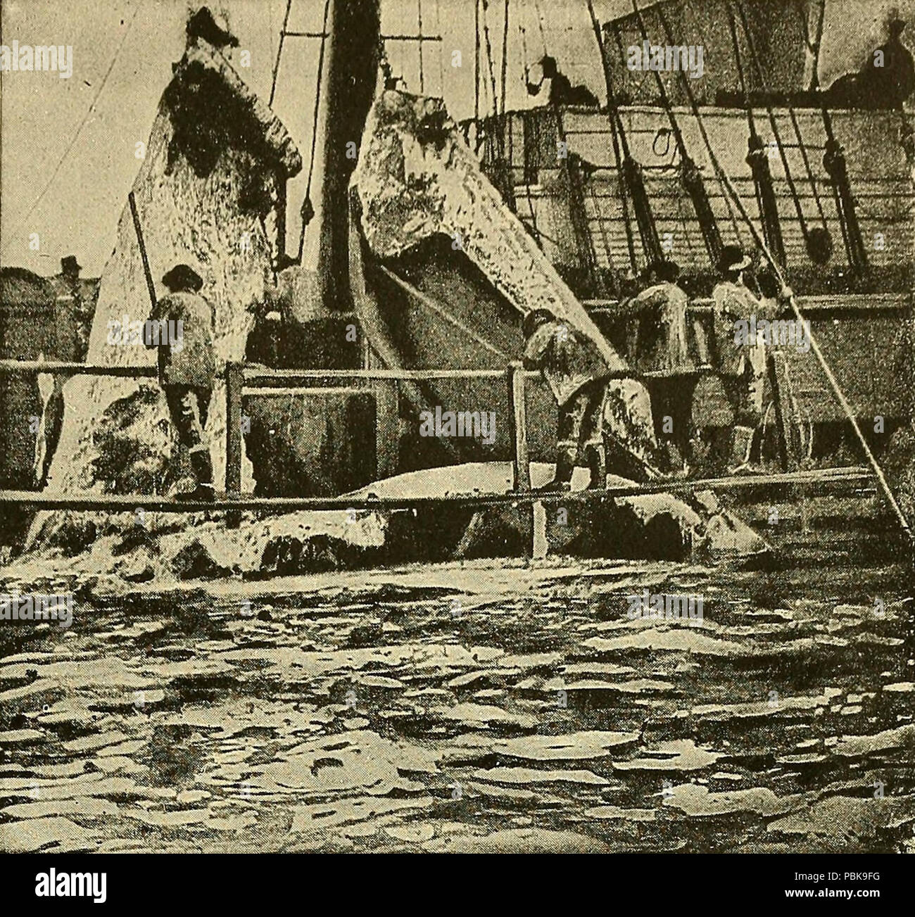 Cutting lip hi-res stock photography and images - Alamy