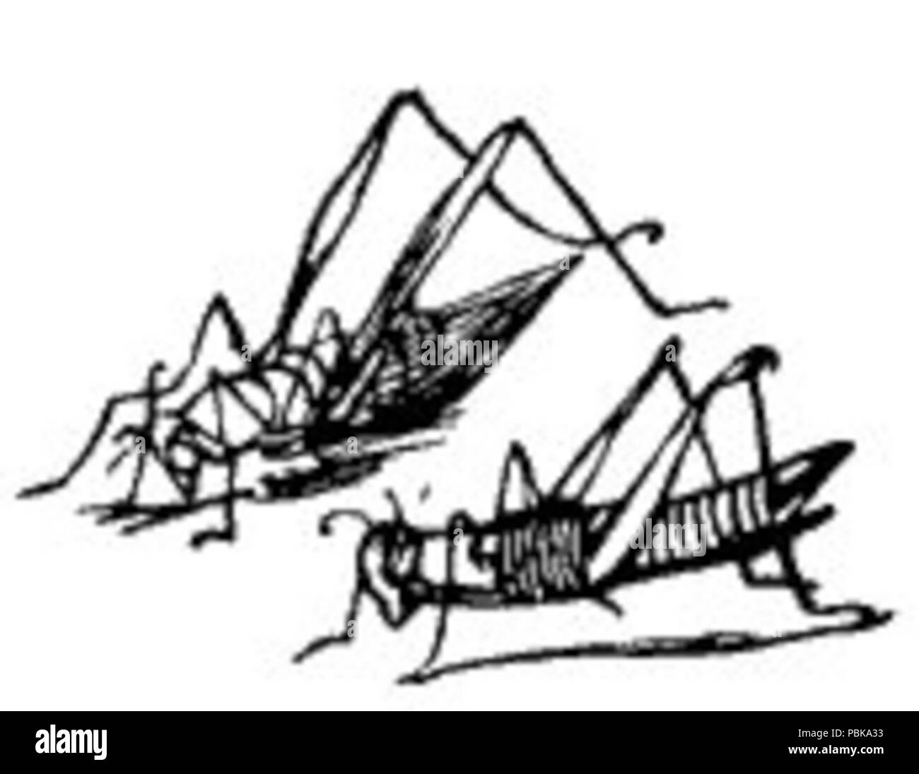 Ecology focused Cut Out Stock Images & Pictures - Alamy