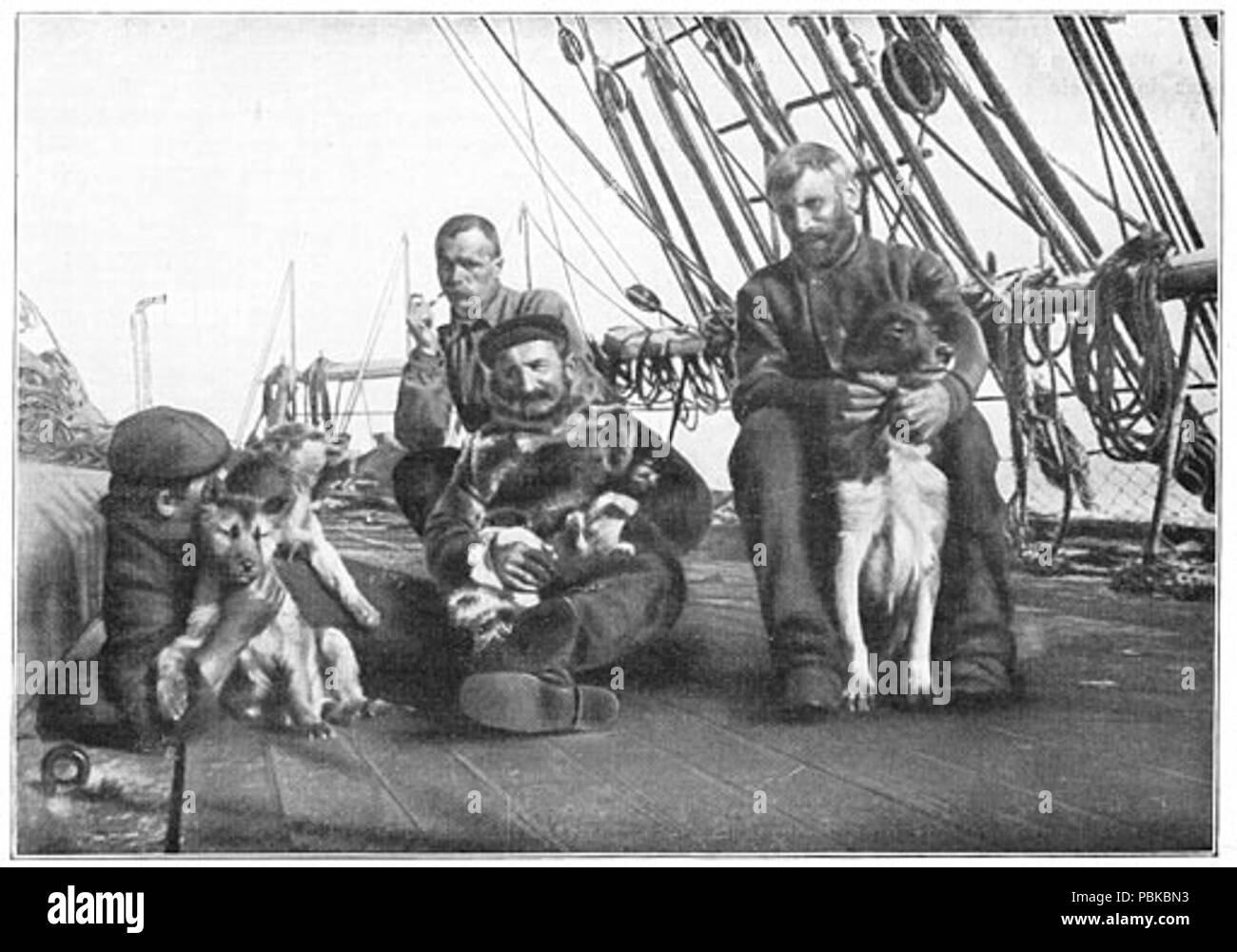 Zuidpool hi-res stock photography and images - Alamy