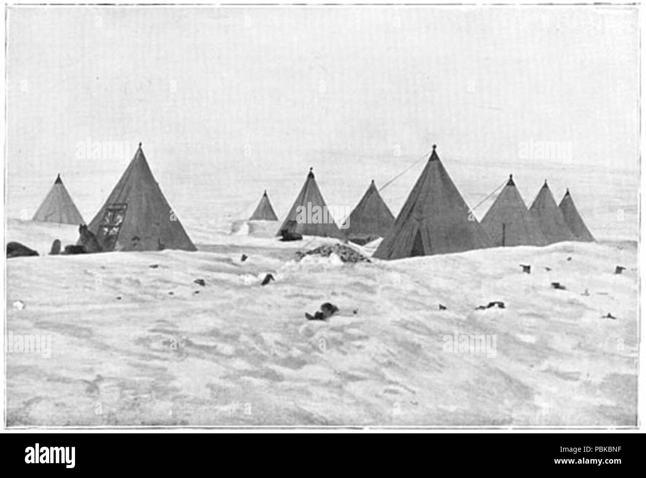 Zuidpool hi-res stock photography and images - Alamy