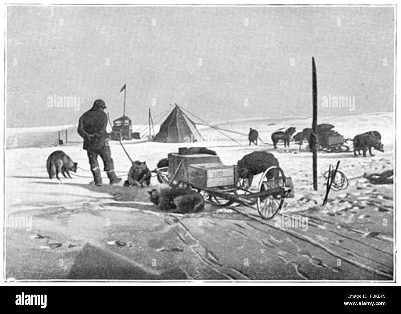 Zuidpool hi-res stock photography and images - Alamy