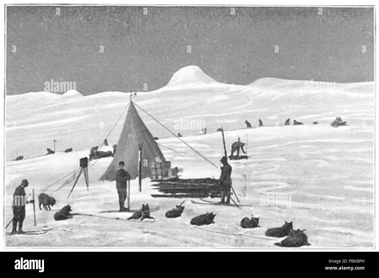 Zuidpool hi-res stock photography and images - Alamy