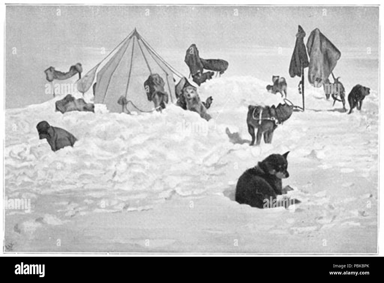 Zuidpool hi-res stock photography and images - Alamy