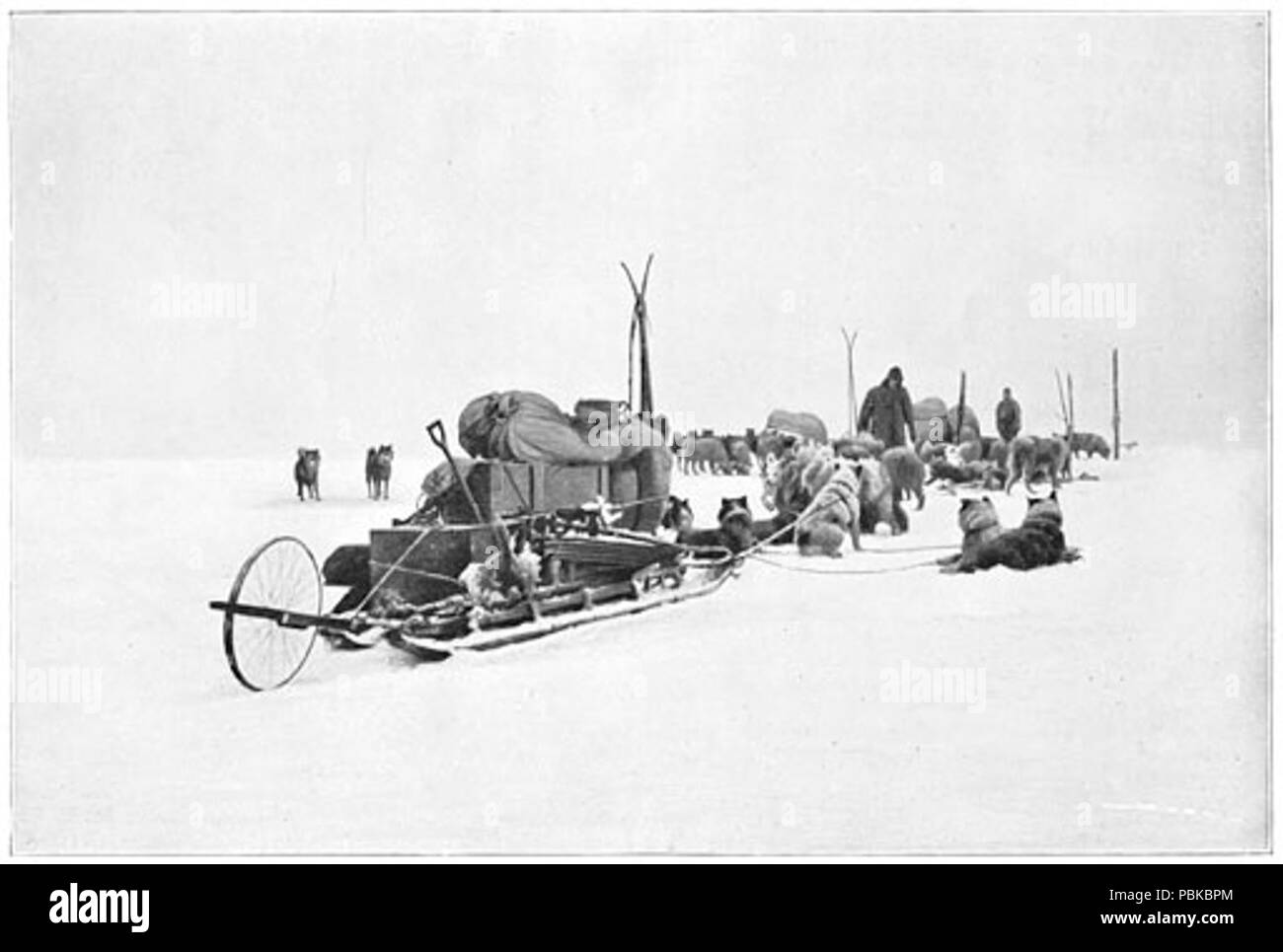 Zuidpool hi-res stock photography and images - Alamy