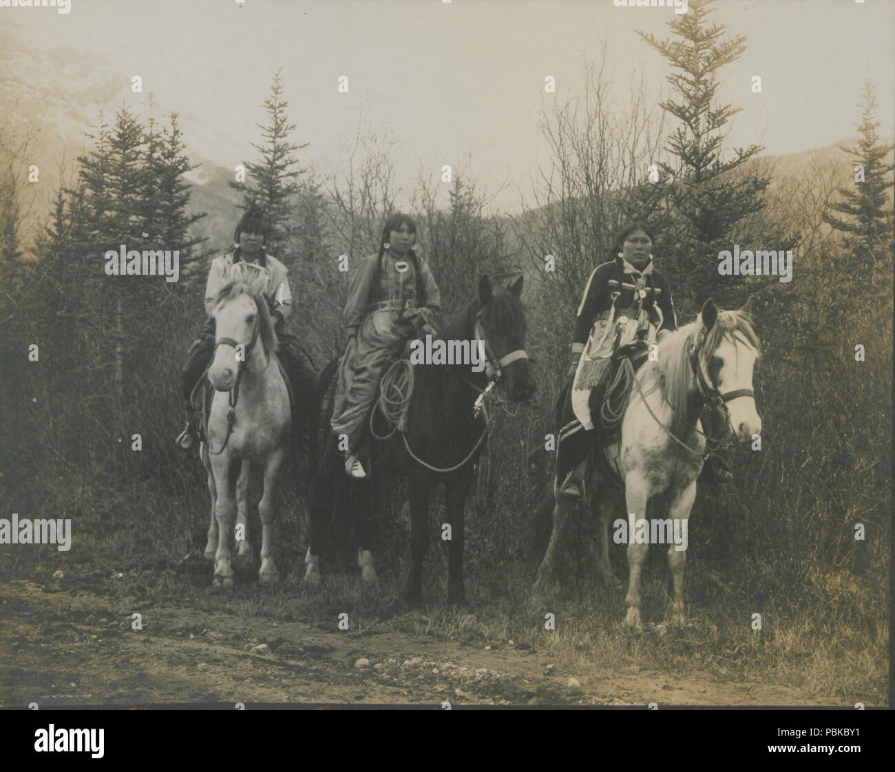 Stonie hi-res stock photography and images - Alamy