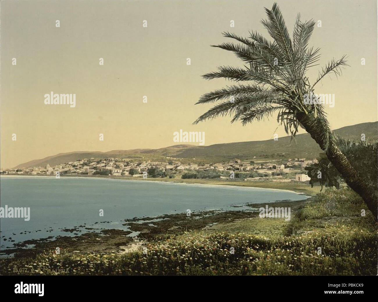 . English: View from near foot of Mount Carmel, probably near Kfar ...