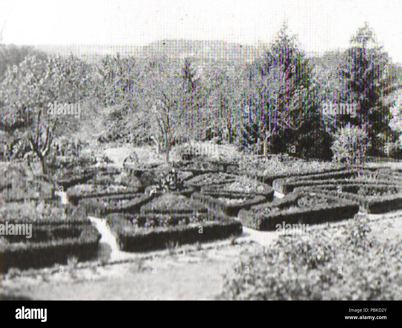 Nhs history hi-res stock photography and images - Alamy