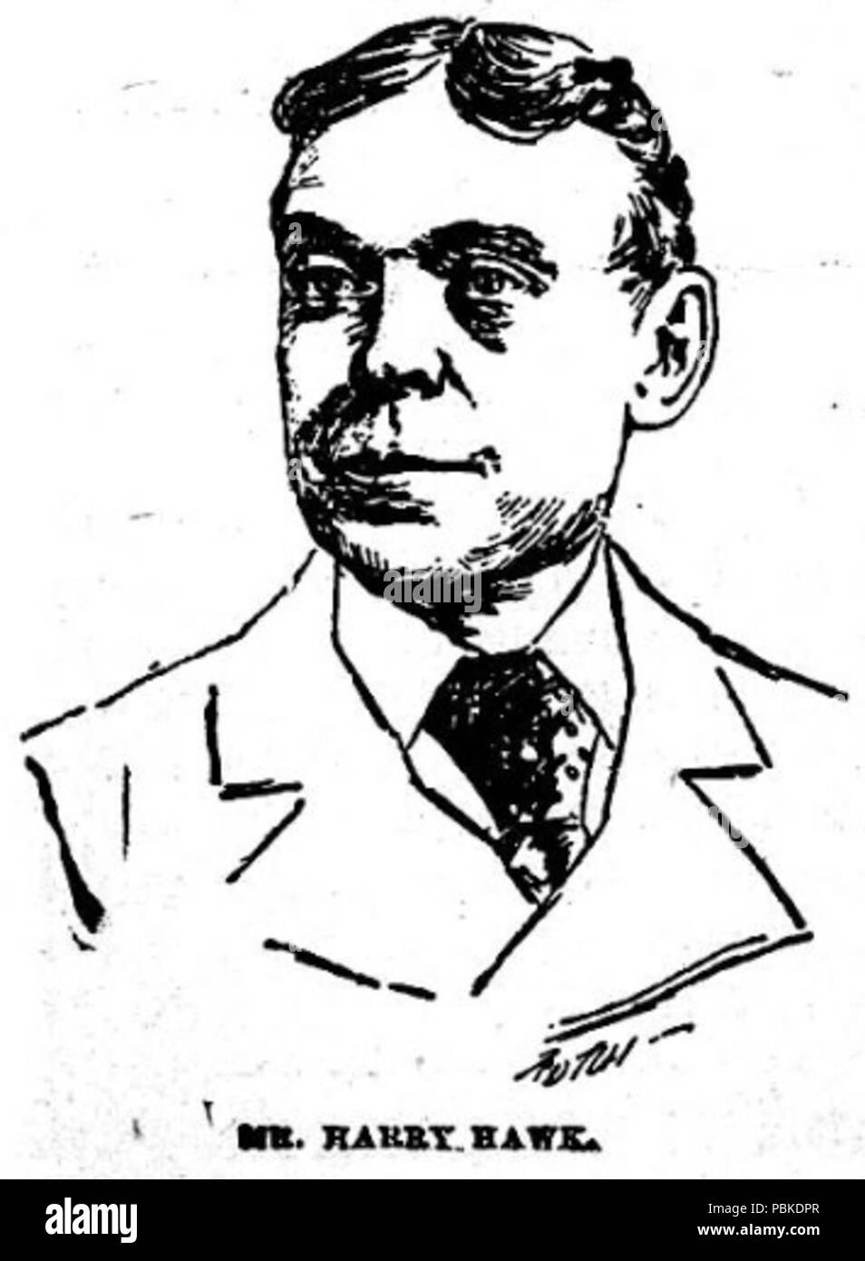 Harry the hawk hi-res stock photography and images - Alamy