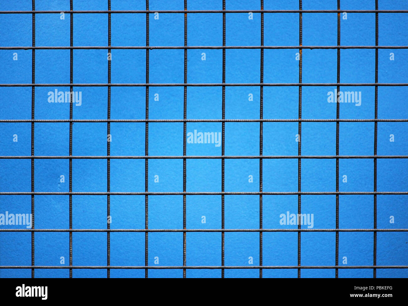 Square Cells High Resolution Stock Photography and Images - Alamy