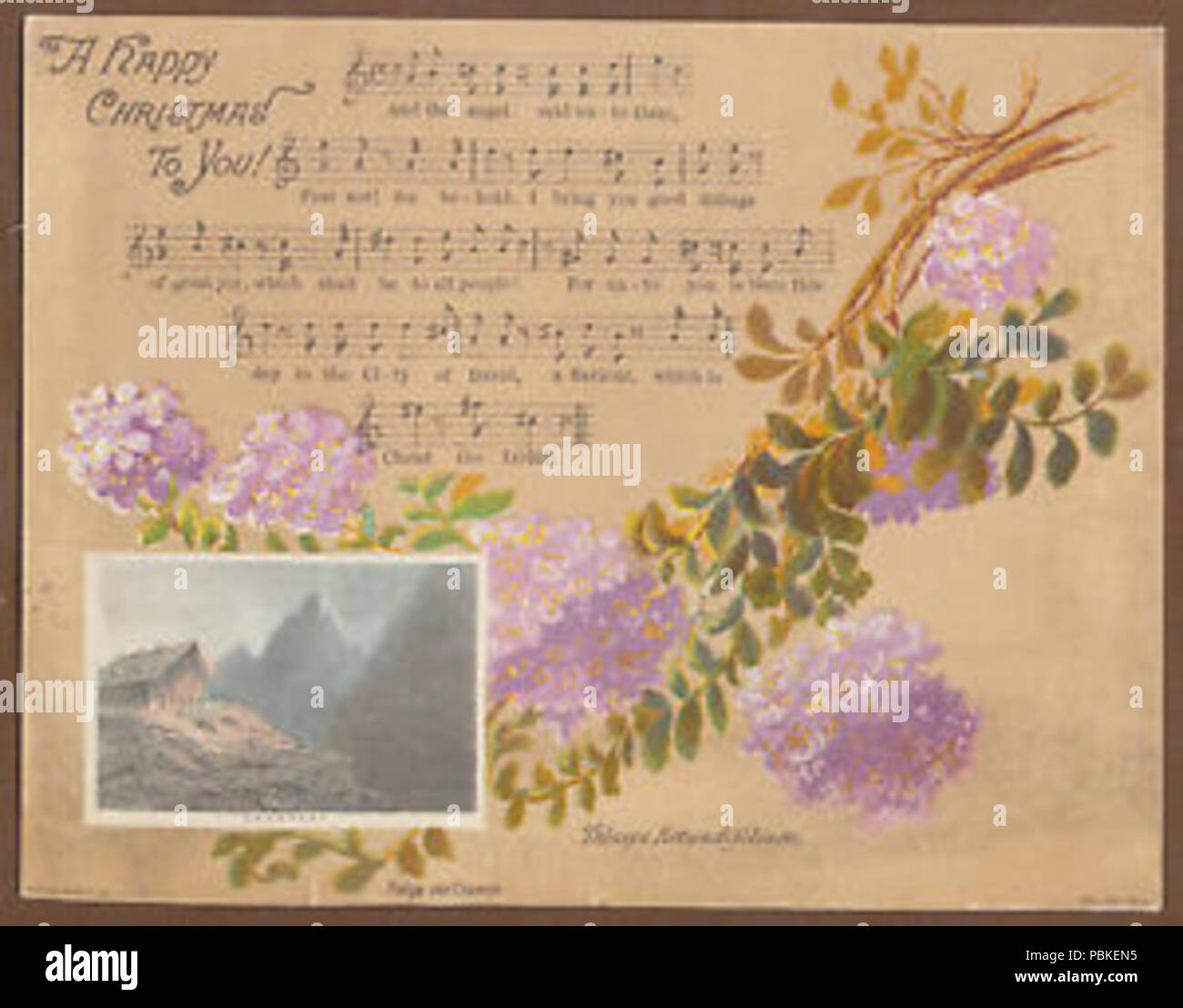 . English: Helga von Cramm, Thlaspi Rotundifolium, Marcus Ward & Co ...