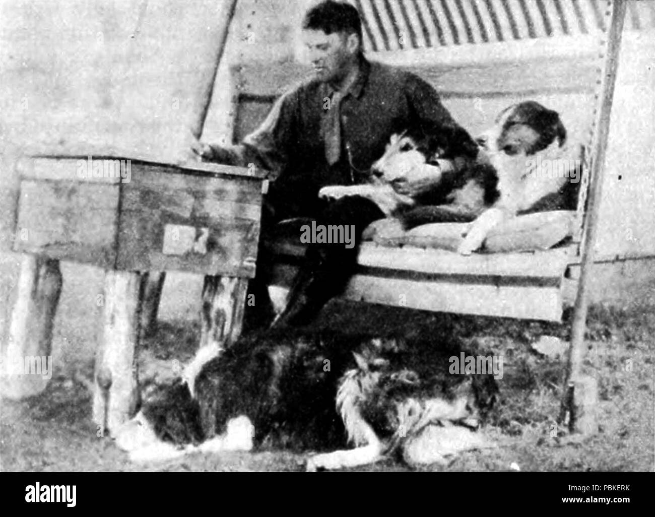 . Helping Mr. Terhune write his stories: the Collies are Lad (lying on ...