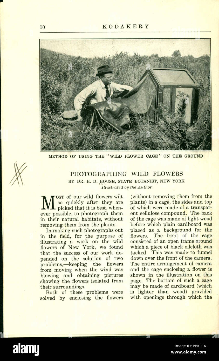 Homer d house hi-res stock photography and images - Alamy