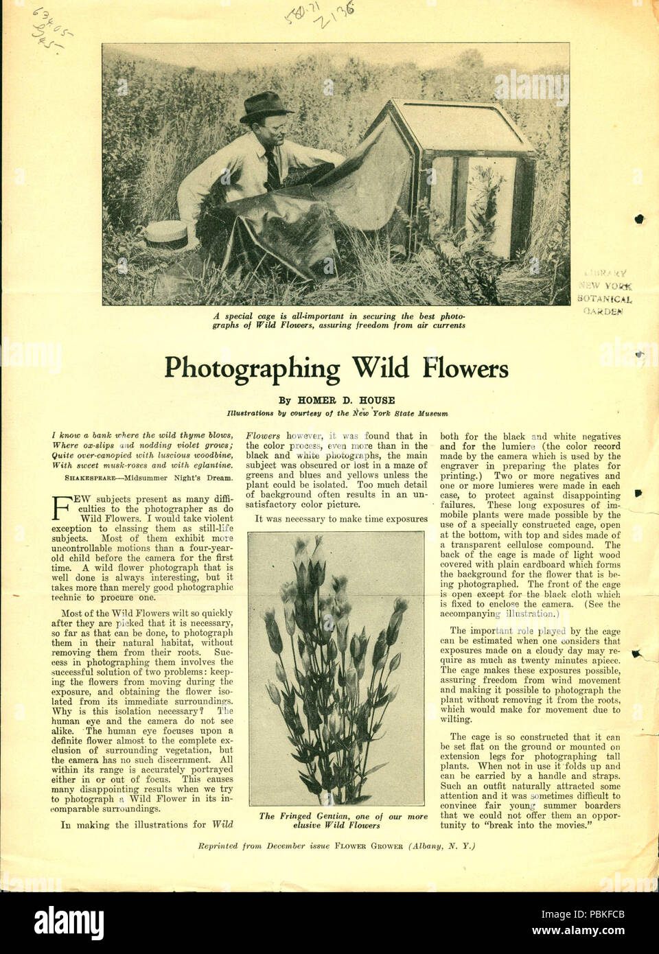 Homer d house hi-res stock photography and images - Alamy