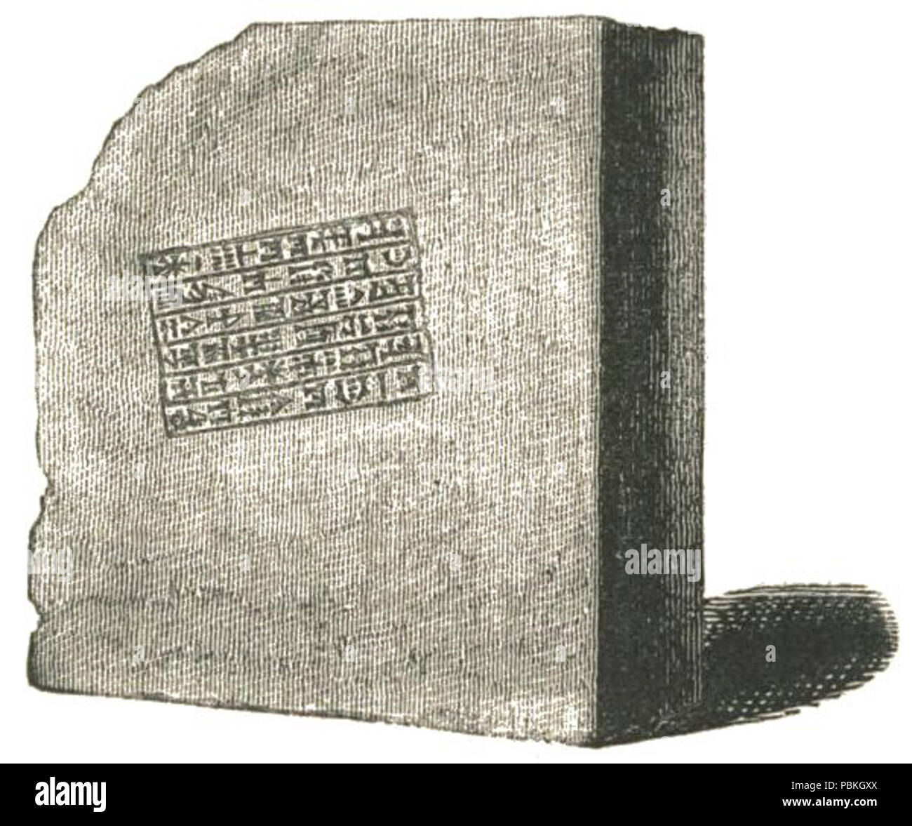 P030 hi-res stock photography and images - Alamy