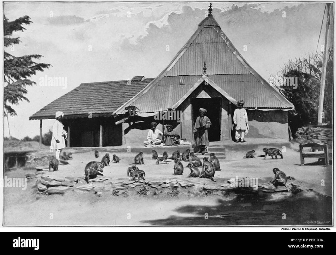 Jakko hi-res stock photography and images - Alamy