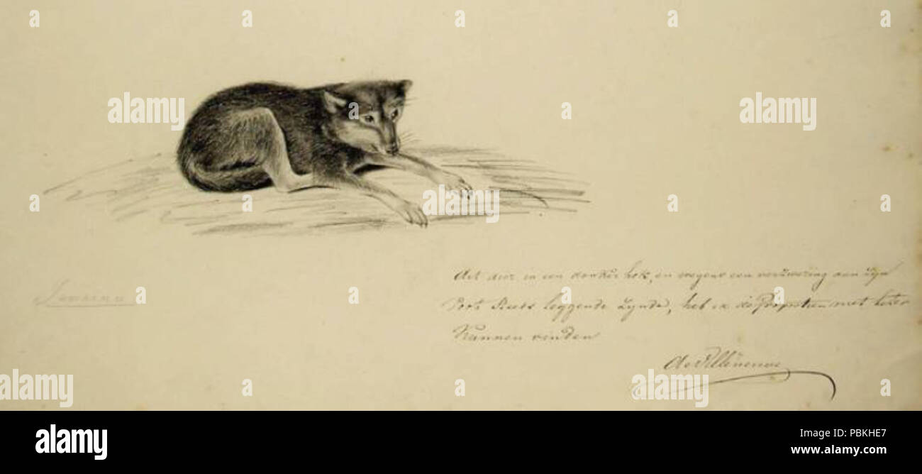 Carl hubert de villeneuve hi-res stock photography and images - Alamy