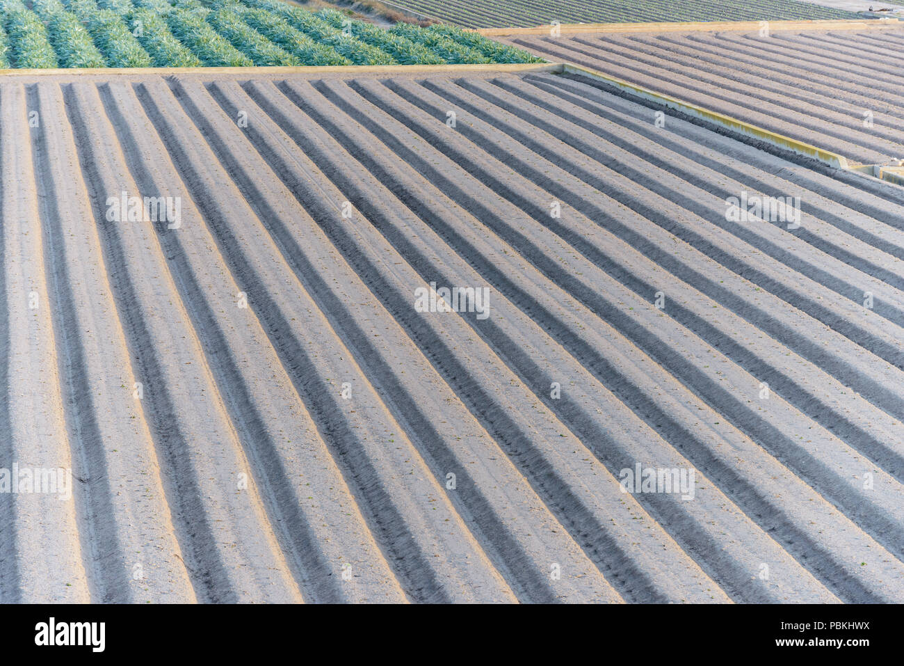 Cultivation field prepared for planting Stock Photo - Alamy