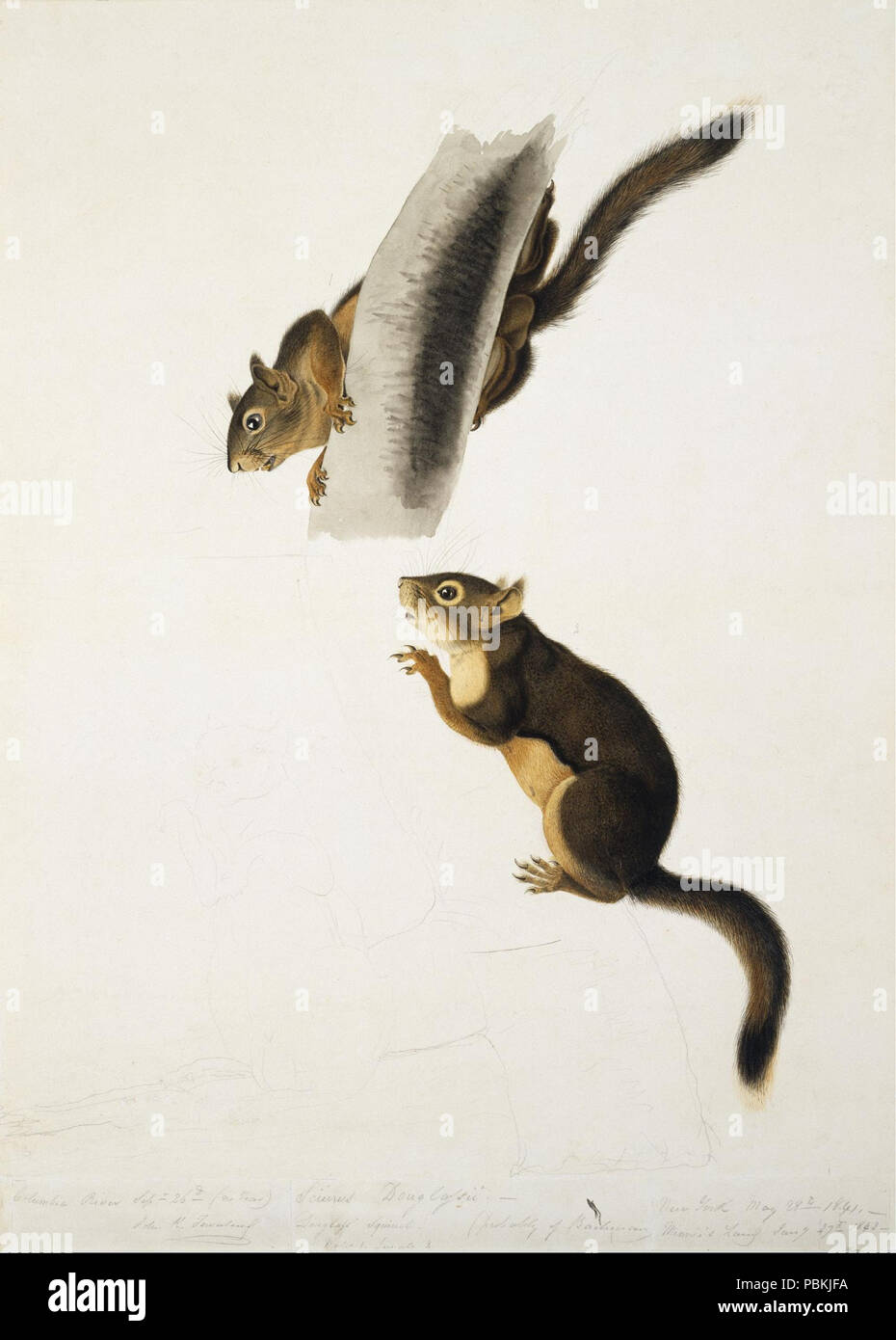 John douglass hi-res stock photography and images - Alamy