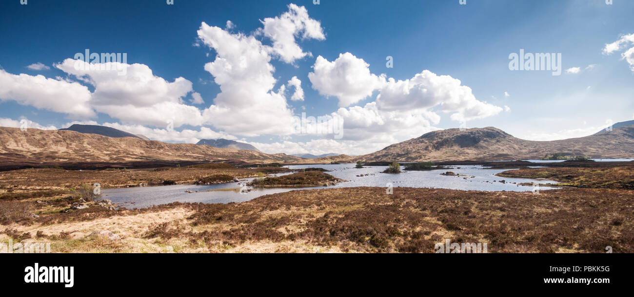 Moors and peat bogs hi-res stock photography and images - Alamy