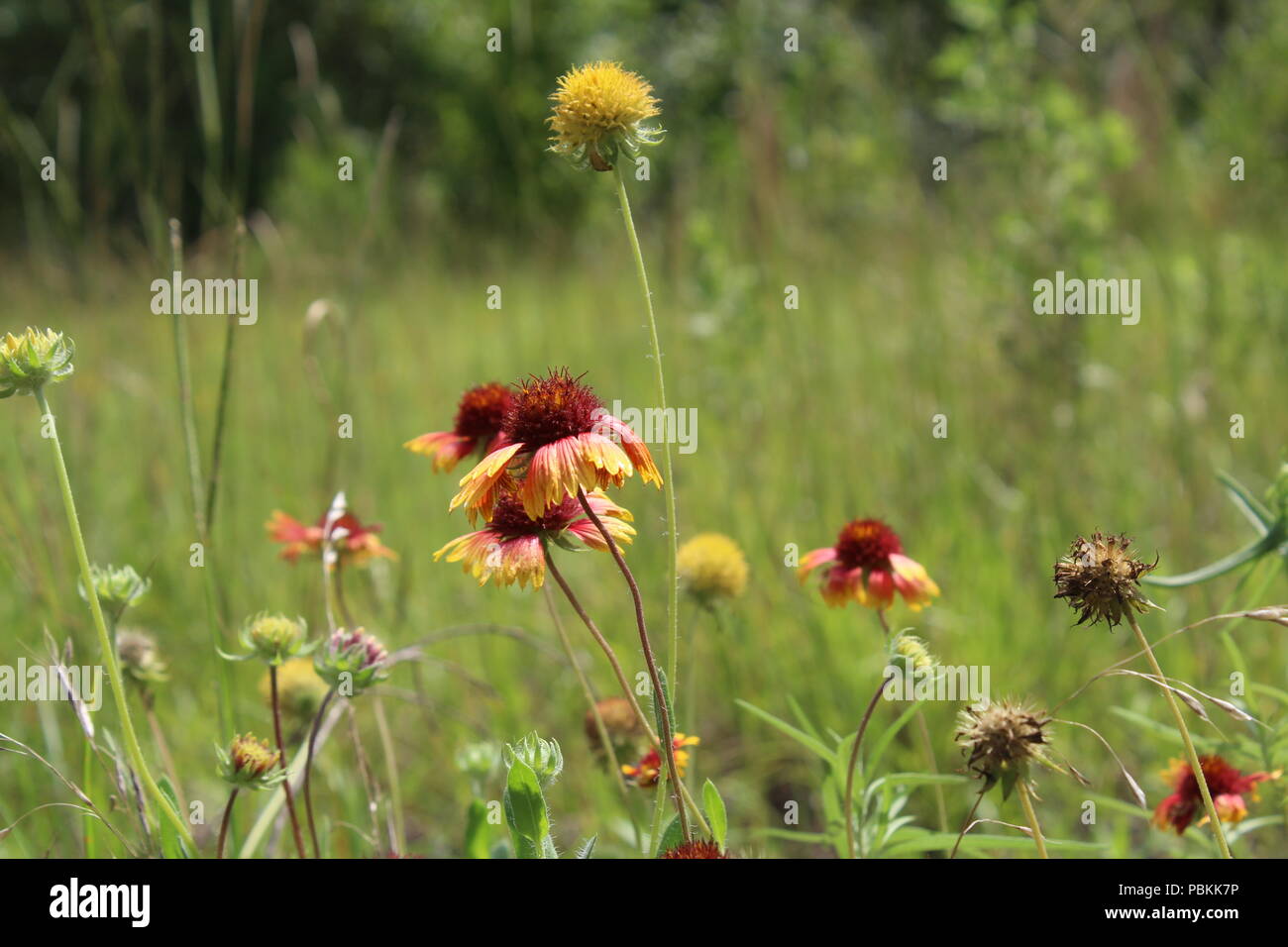 Goodbye sun hi-res stock photography and images - Alamy