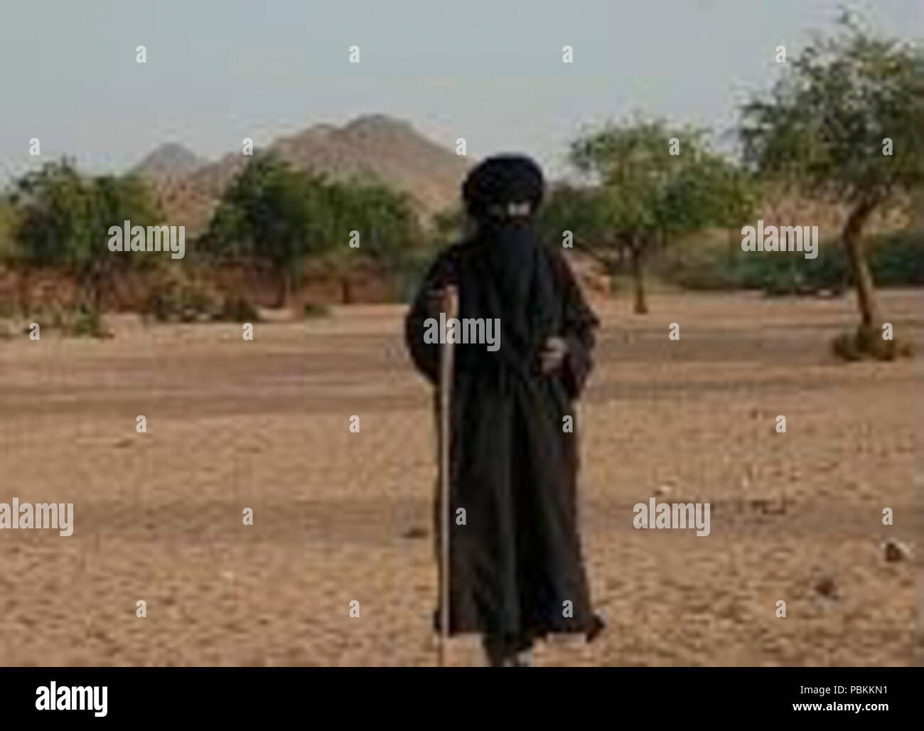 Air mountains niger hi-res stock photography and images - Alamy