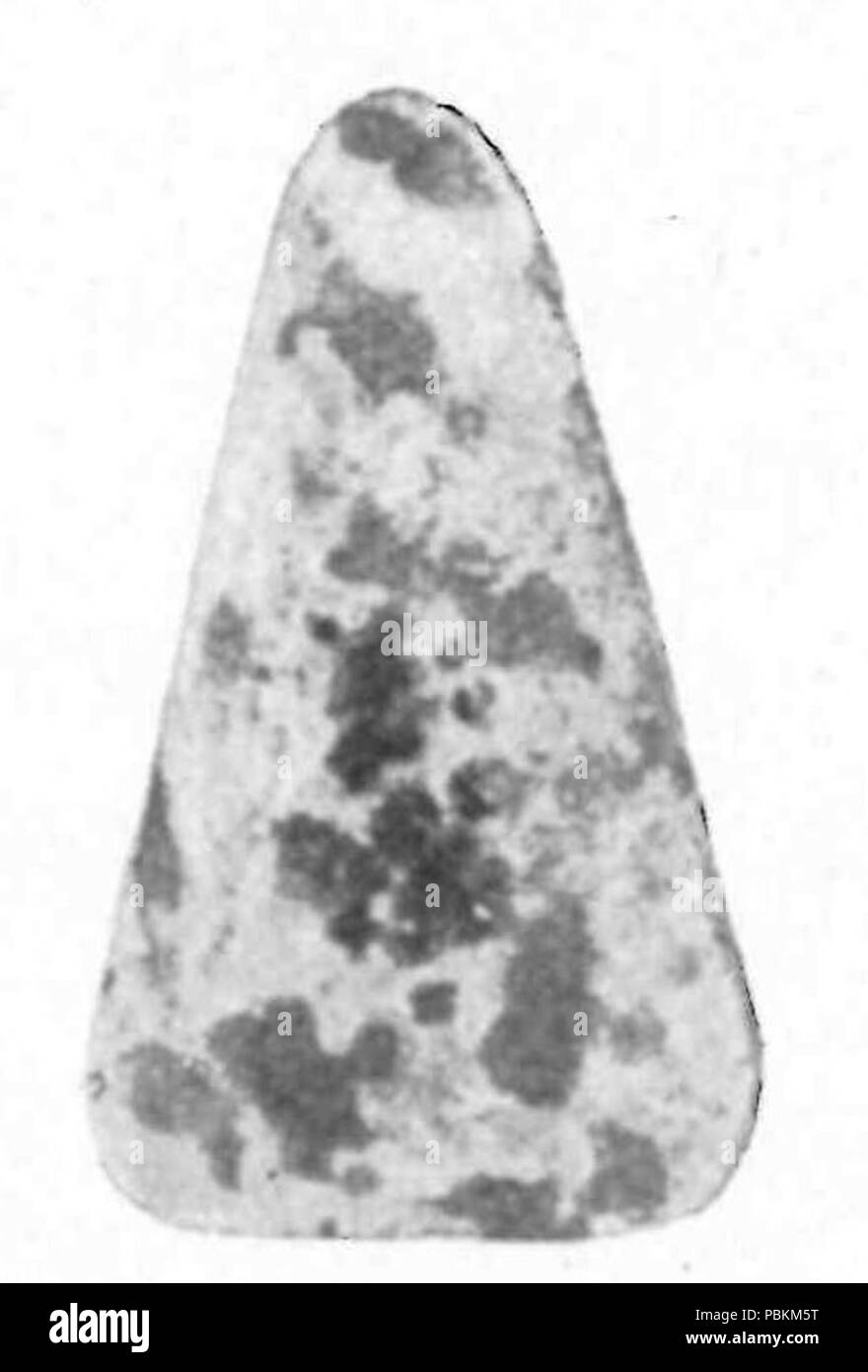 India expedition Cut Out Stock Images & Pictures - Alamy