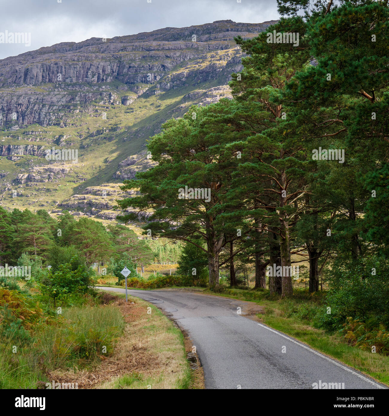 The A896 runs through woodland in the valley floor of Glen Torridon ...