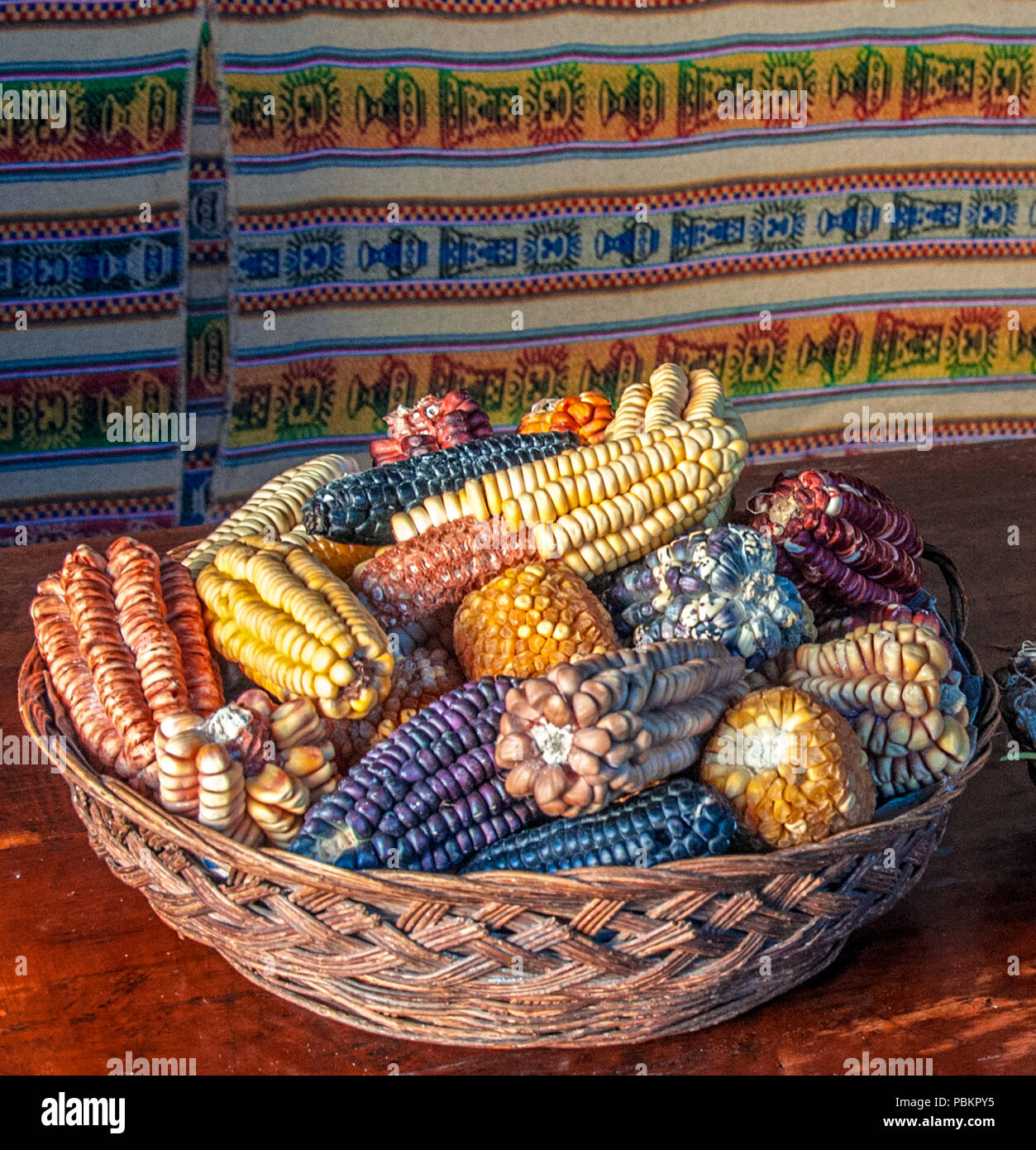 Types of corn hi-res stock photography and images - Alamy