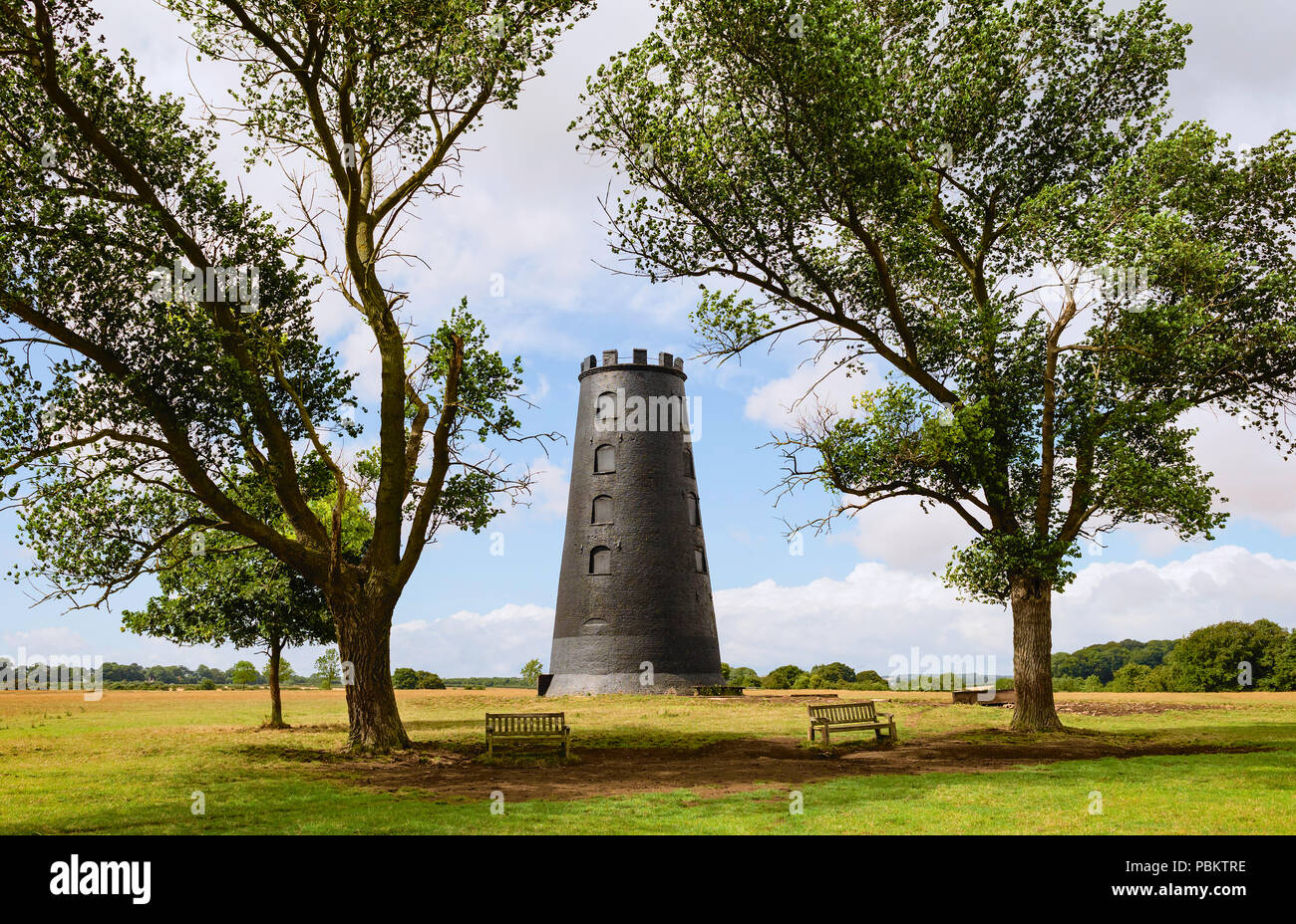 The Black Mill, popular landmark, flanked by tress and cattle grazing ...