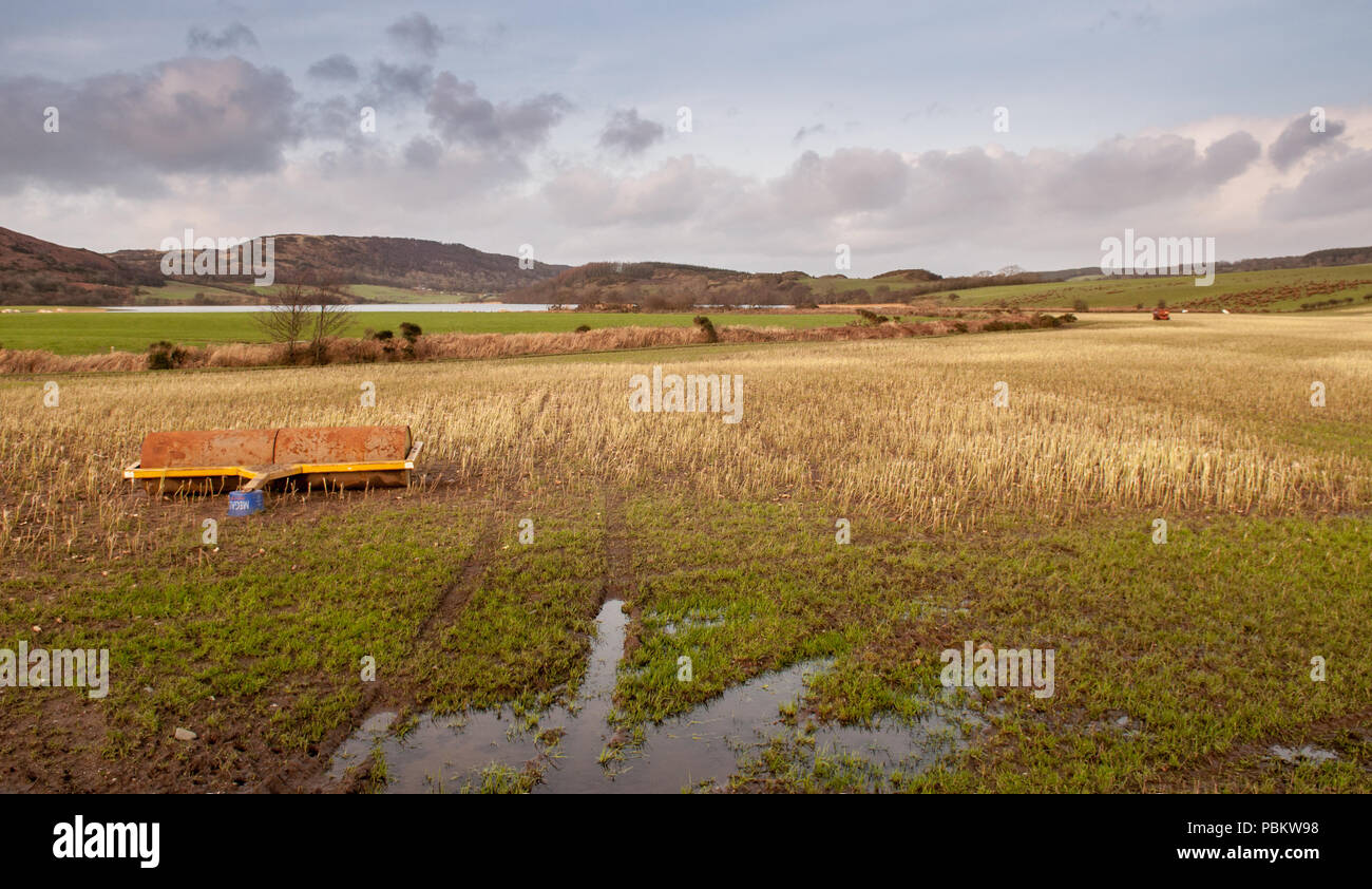 Crops begin to grow in wet fields at Scalpsie on the Isle of Bute in ...