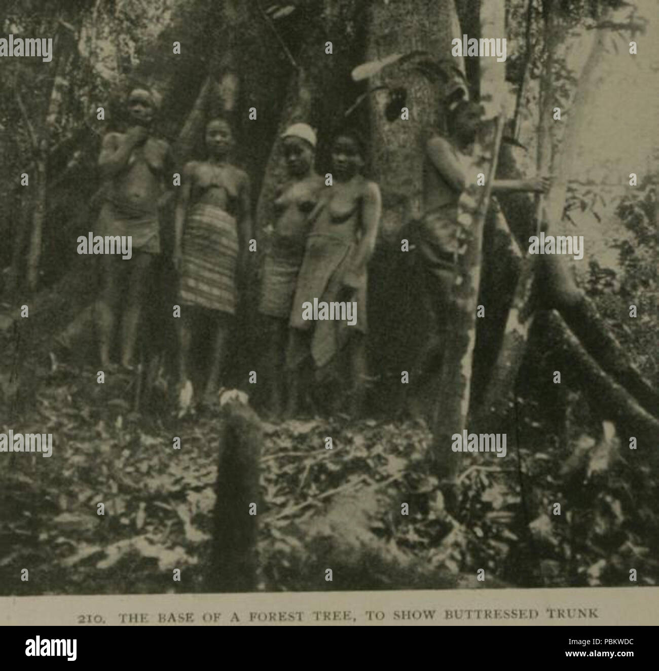 Liberian women hi-res stock photography and images - Alamy