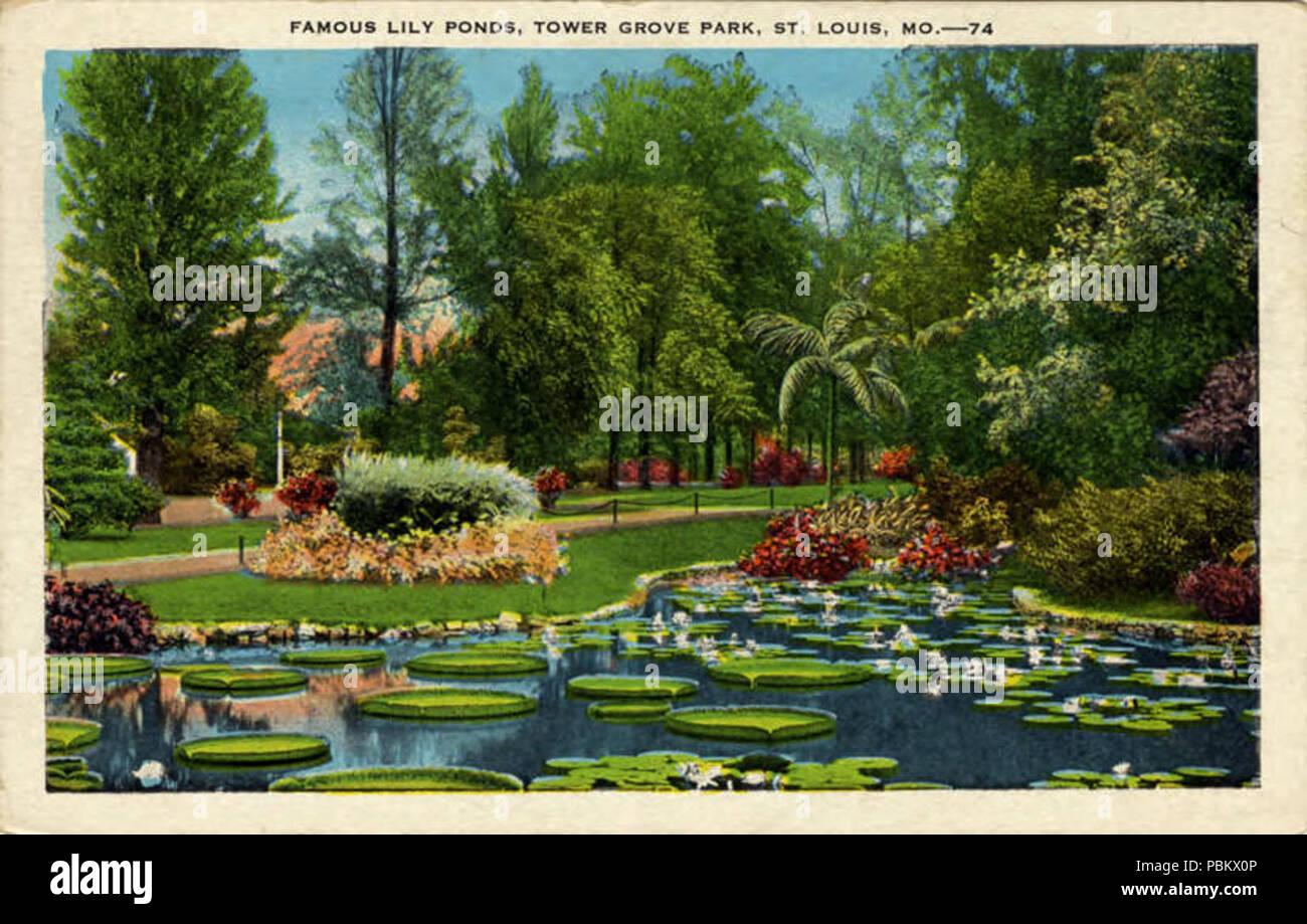 922 Lily Ponds, Tower Grove Park (NBY 436849 Stock Photo - Alamy