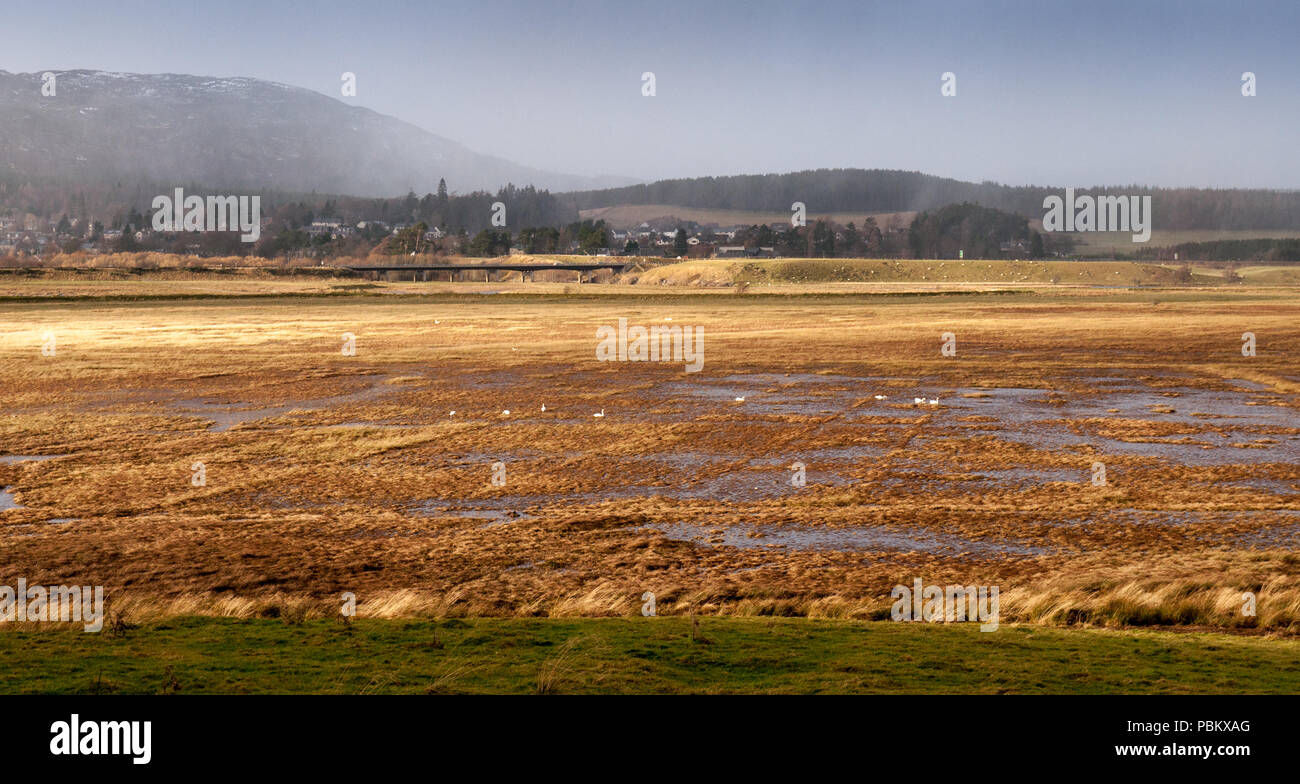 Scottish highlands speyside hi-res stock photography and images - Alamy