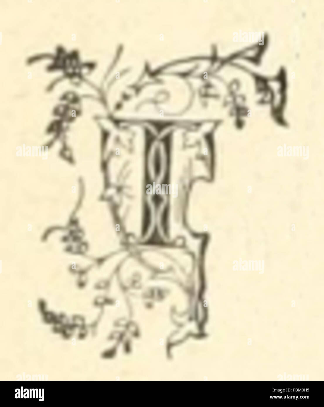 Artistic biography hi-res stock photography and images - Alamy