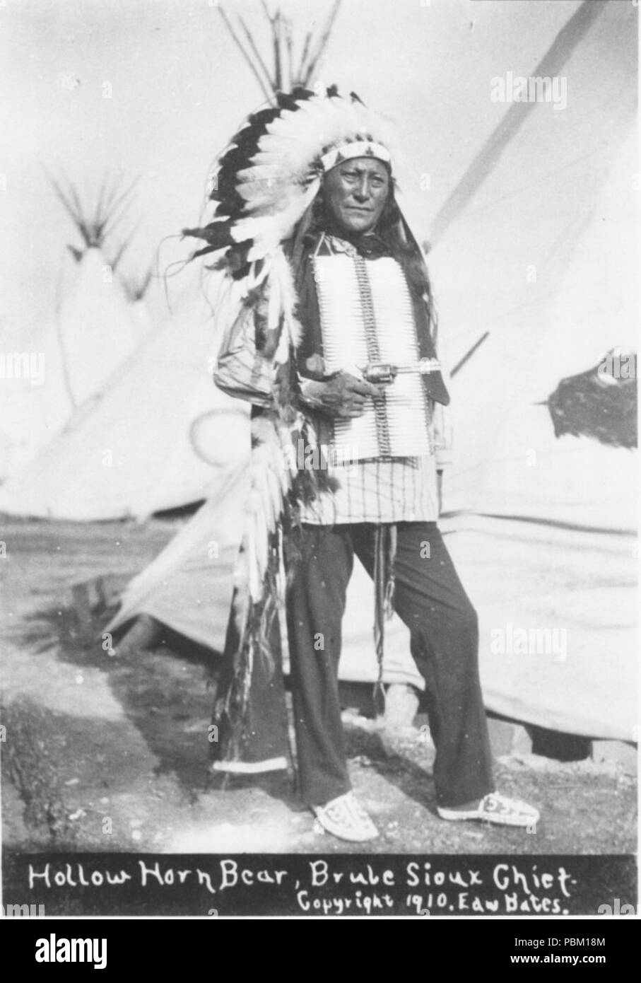 Hollow horn bear hi-res stock photography and images - Alamy