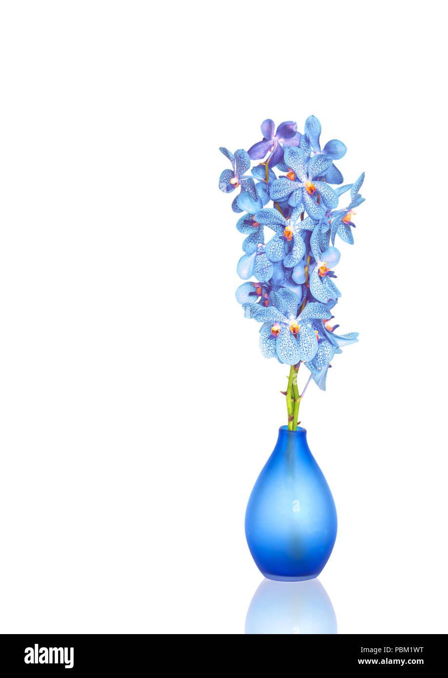 Collection of blue vases hi-res stock photography and images - Alamy