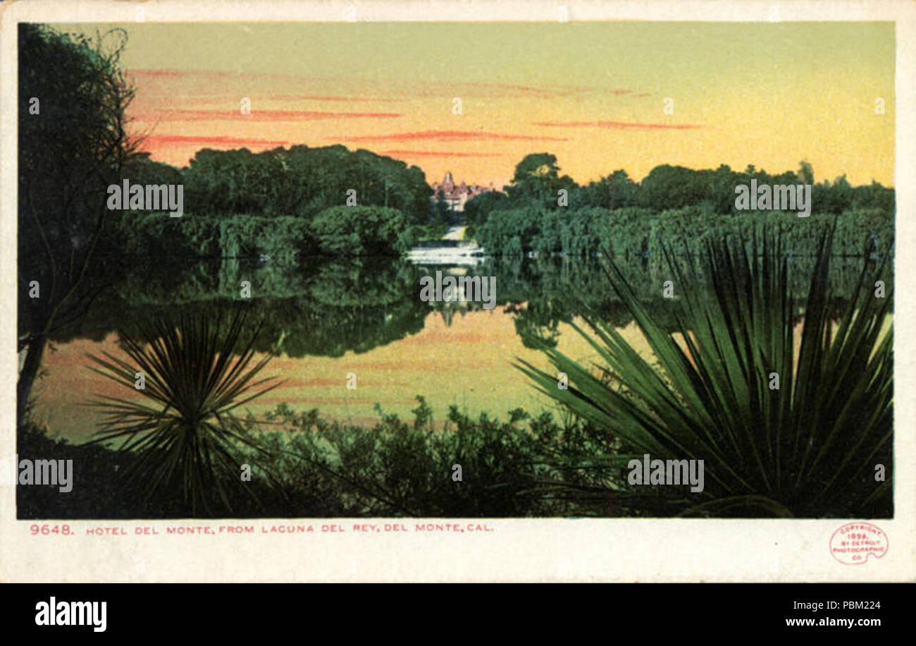 Laguna Del Rey High Resolution Stock Photography and Images - Alamy