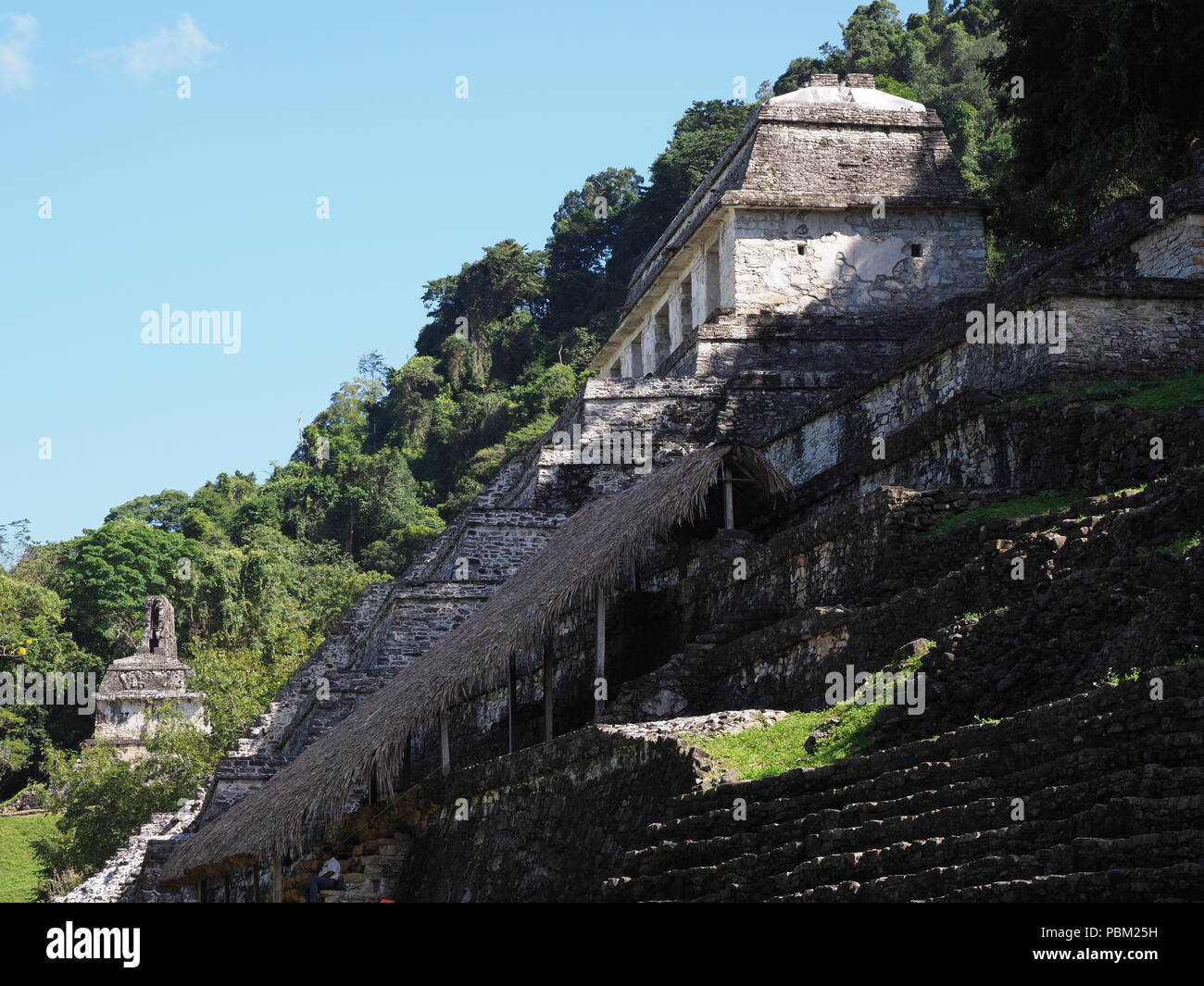 Famous stony pyramid at ancient mayan National Park of Palenque city at ...