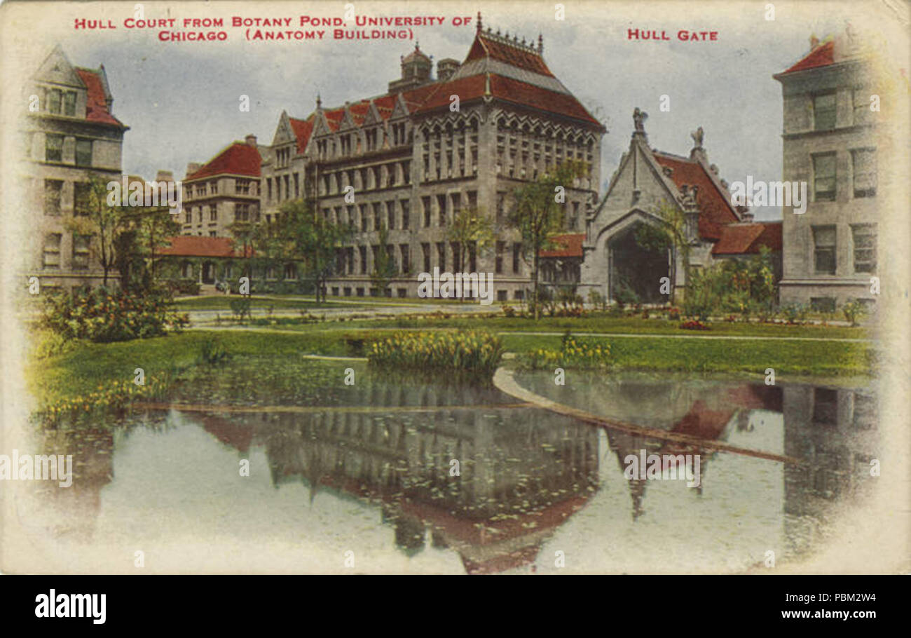 775 Hull Court From Botany Pond, University Of Chicago (Anatomy ...