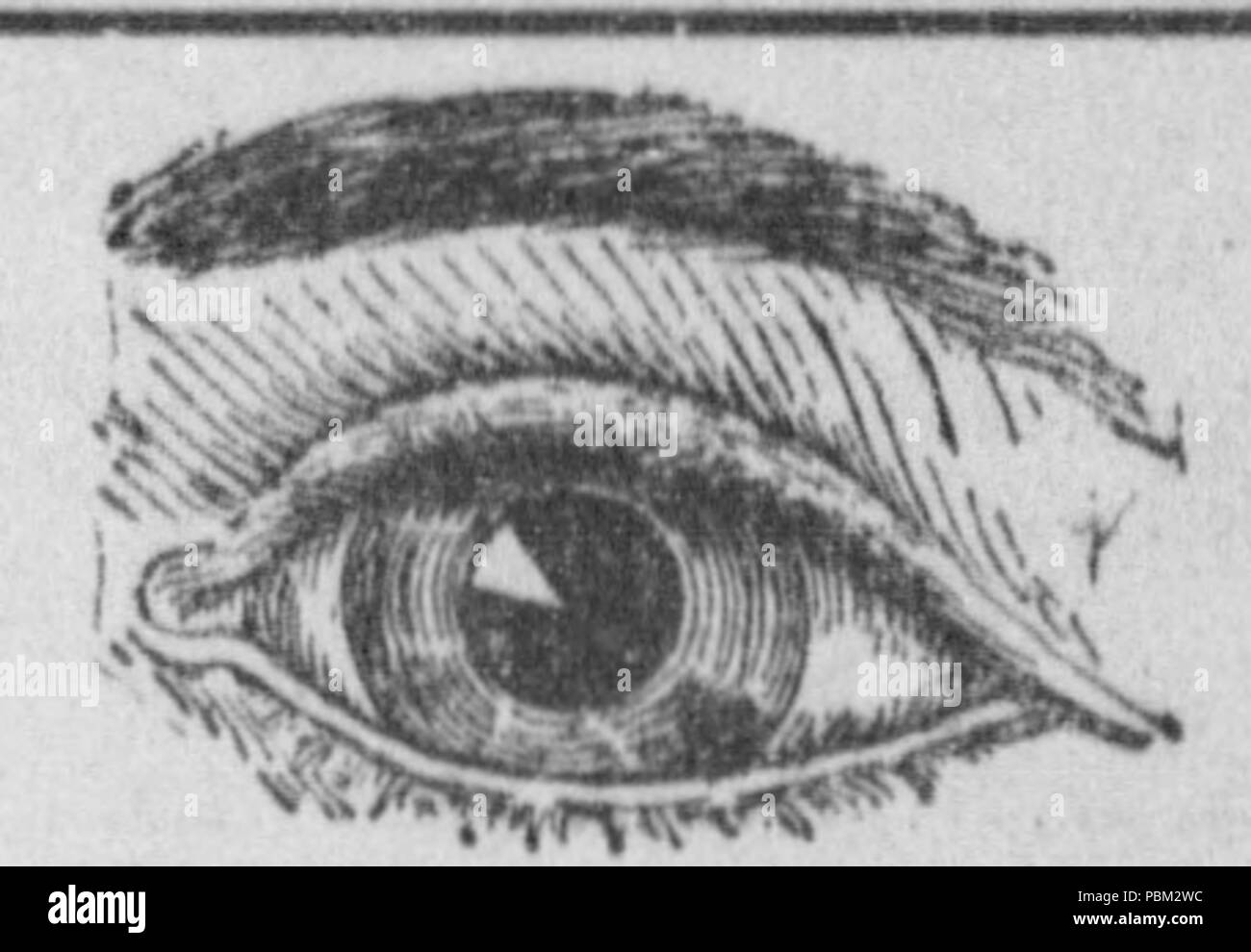 1904 illustration hi-res stock photography and images - Alamy