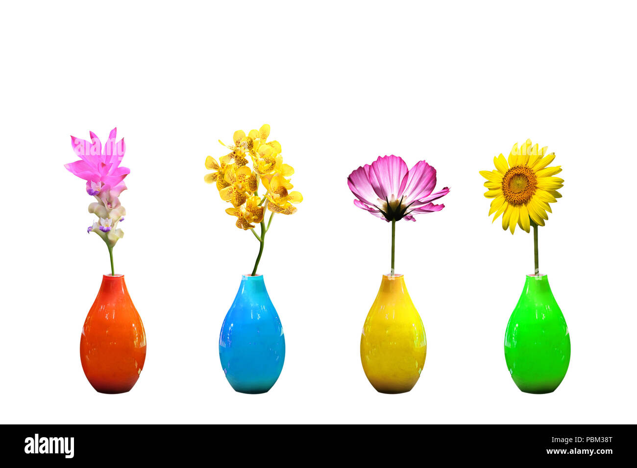 Pink flowers in growing Cut Out Stock Images & Pictures - Alamy