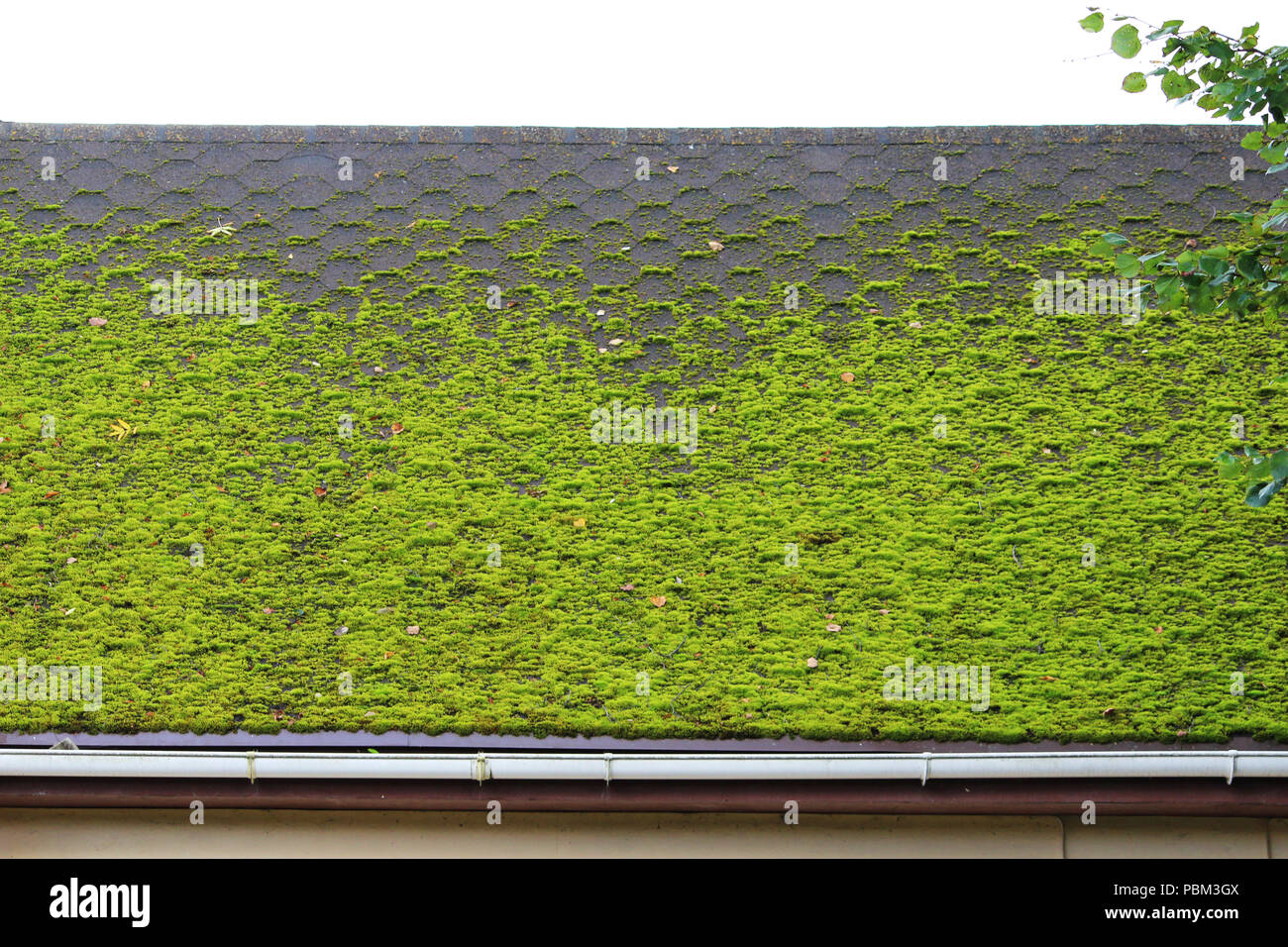 Green asphalt roof shingles texture hi-res stock photography and images ...