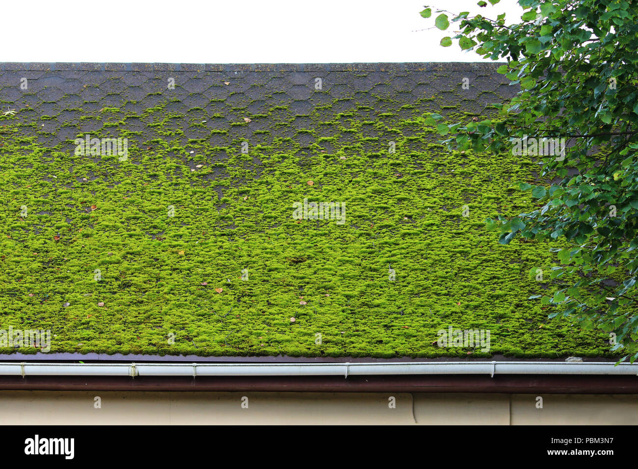 Green asphalt roof shingles texture hi-res stock photography and images ...