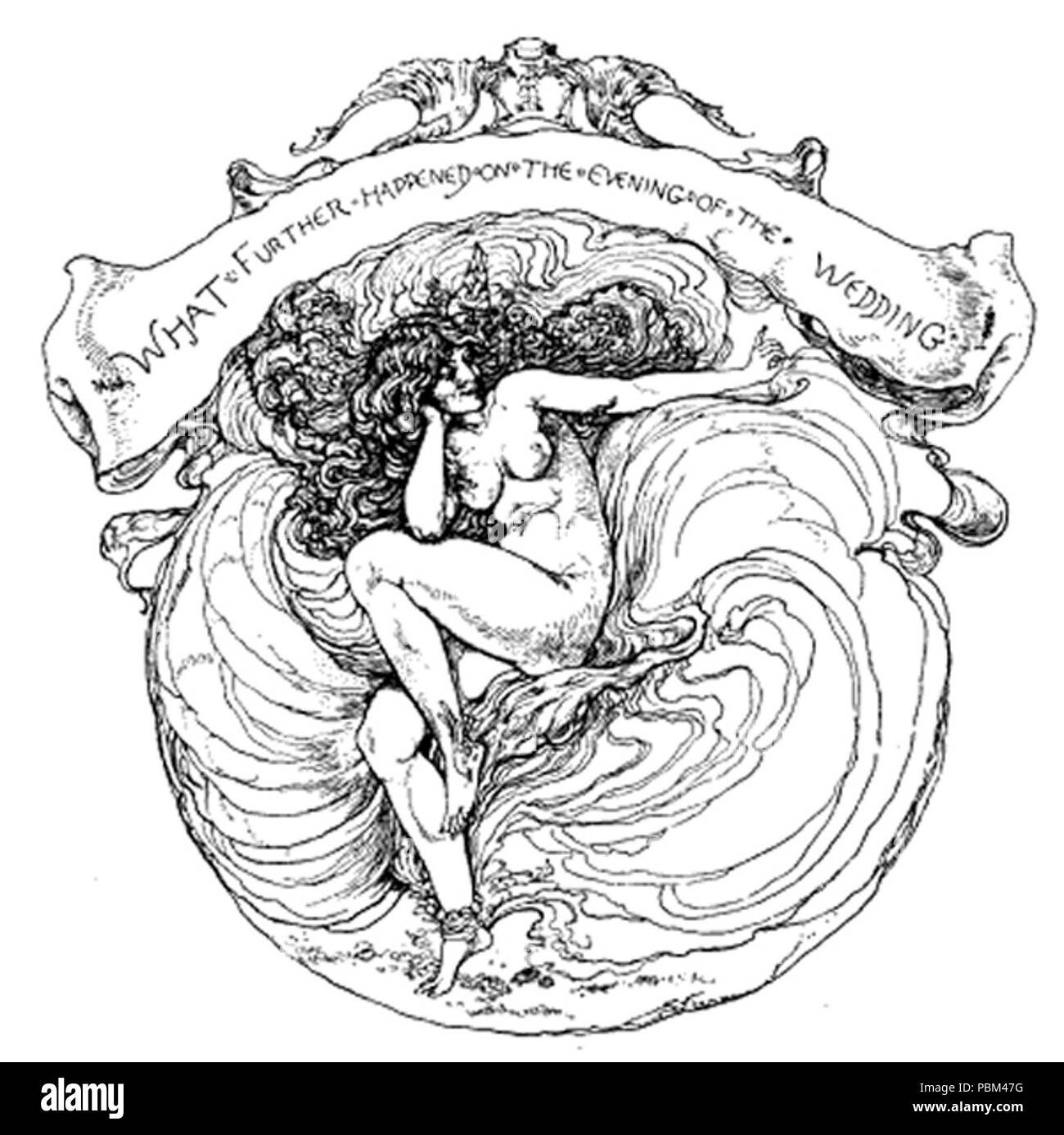 Rose european Cut Out Stock Images & Pictures - Alamy