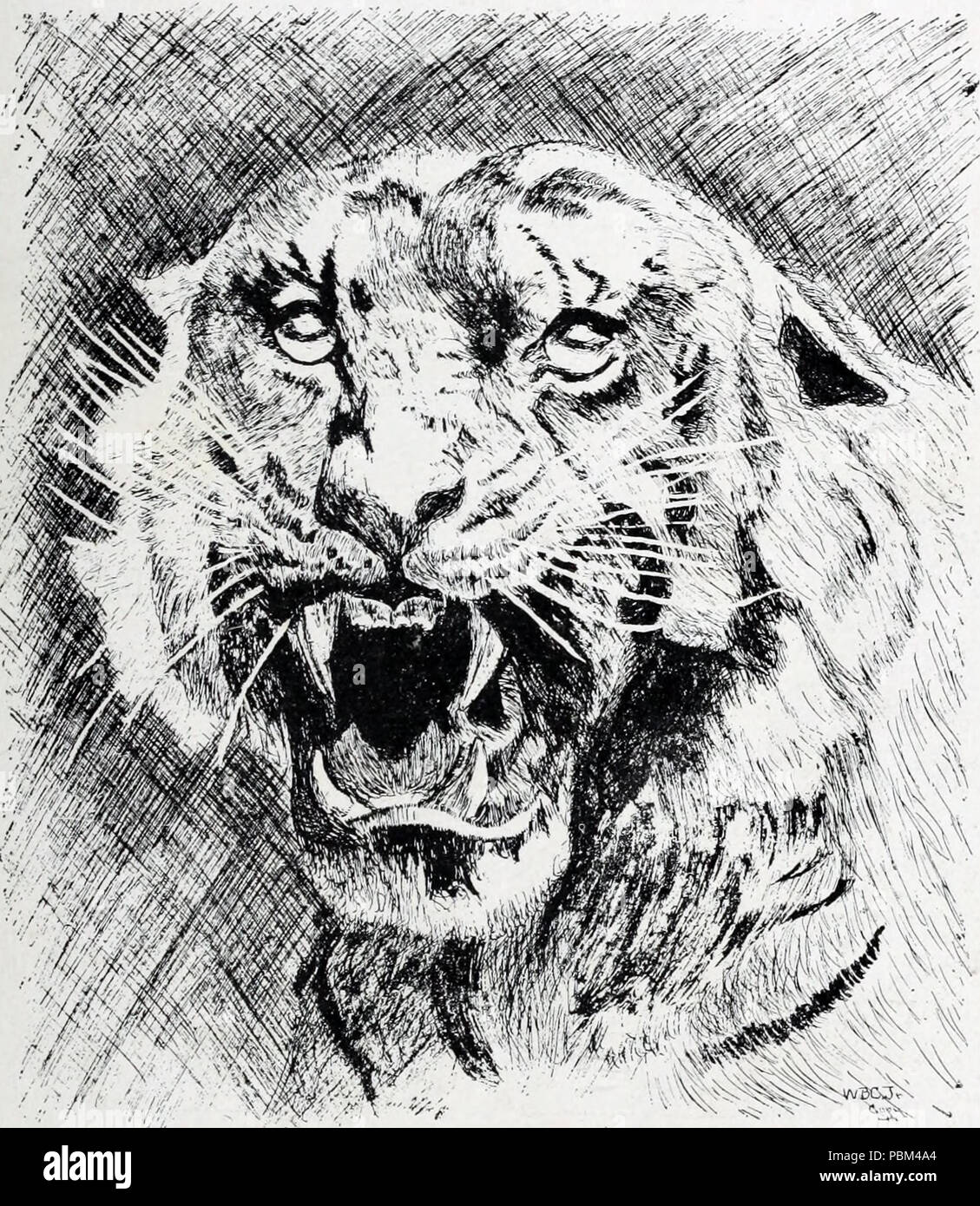 1907 illustration hi-res stock photography and images - Alamy