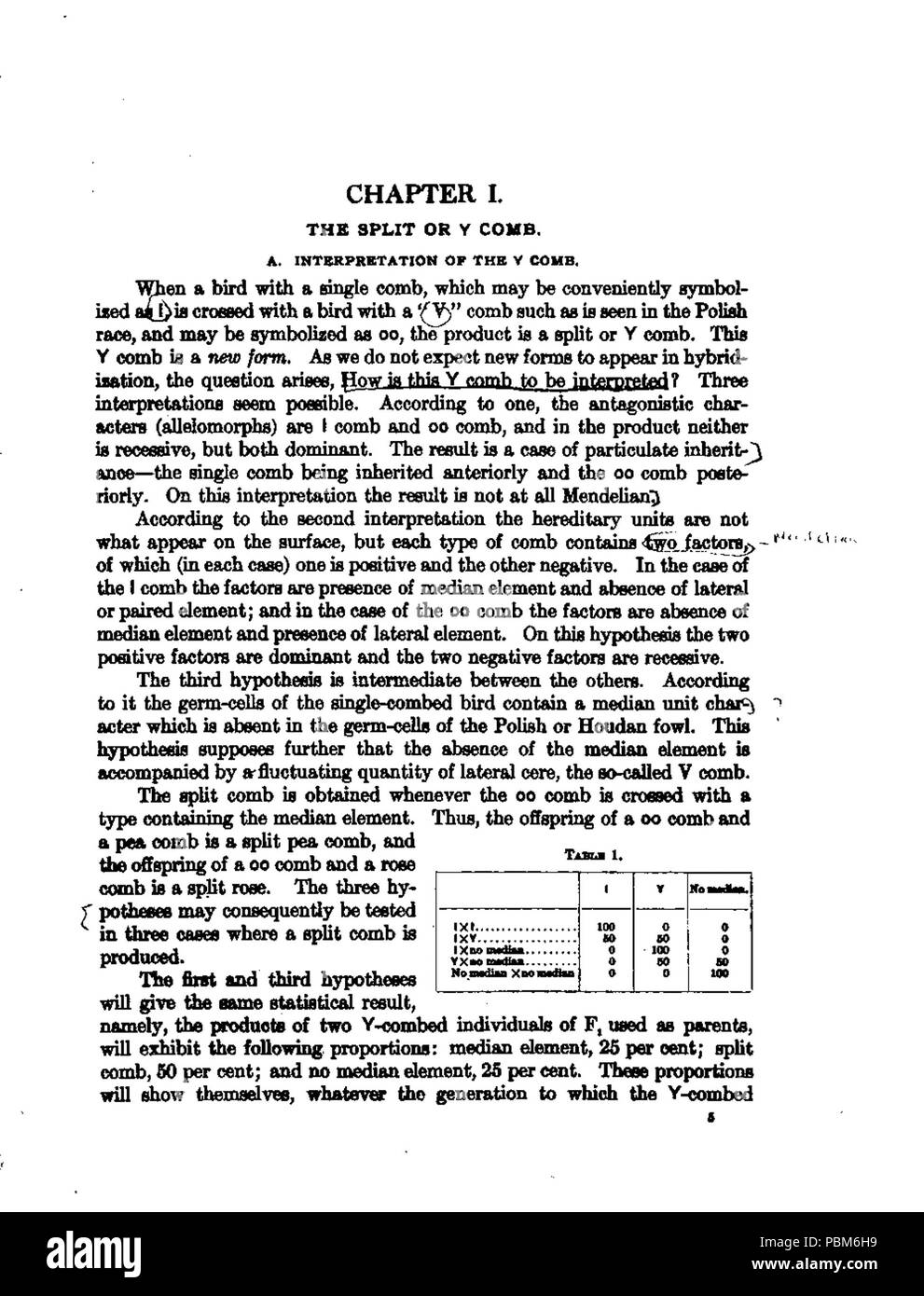 Inheritance patterns Cut Out Stock Images & Pictures - Alamy