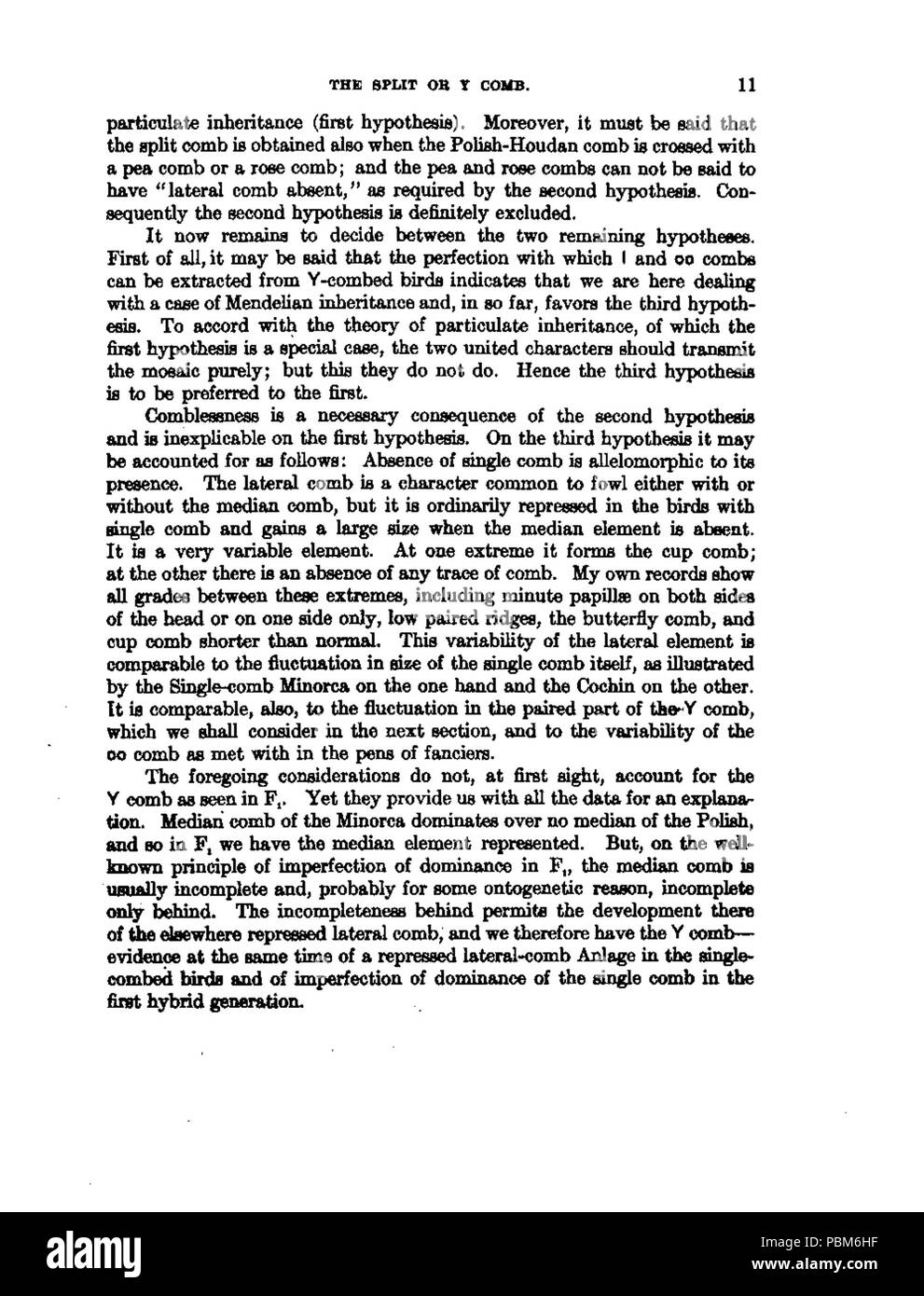 Inheritance patterns Cut Out Stock Images & Pictures - Alamy