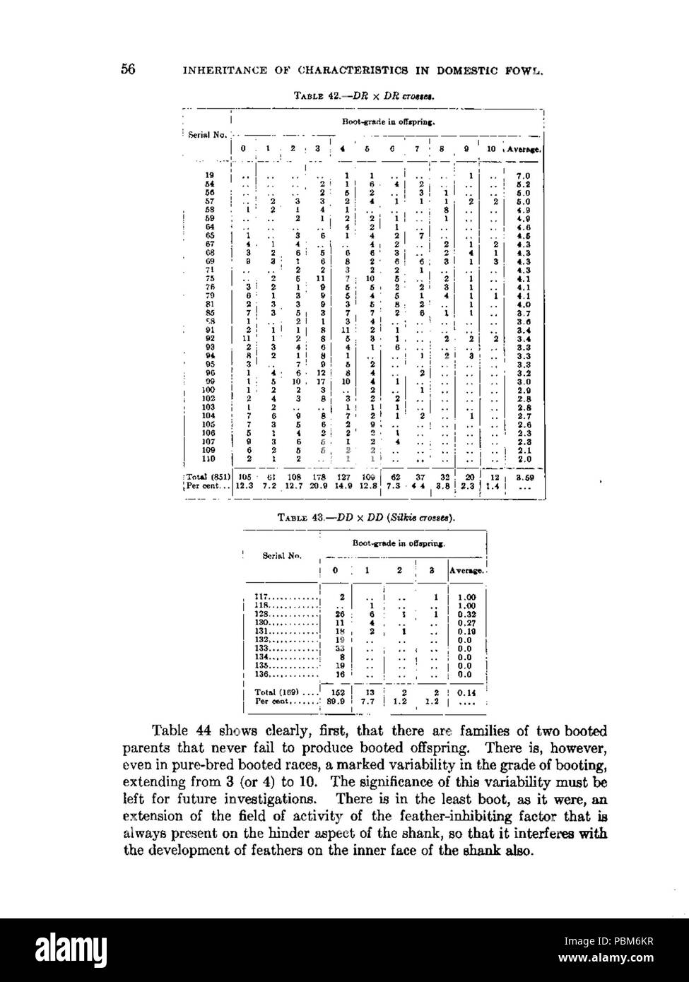 060 803 hi-res stock photography and images - Alamy